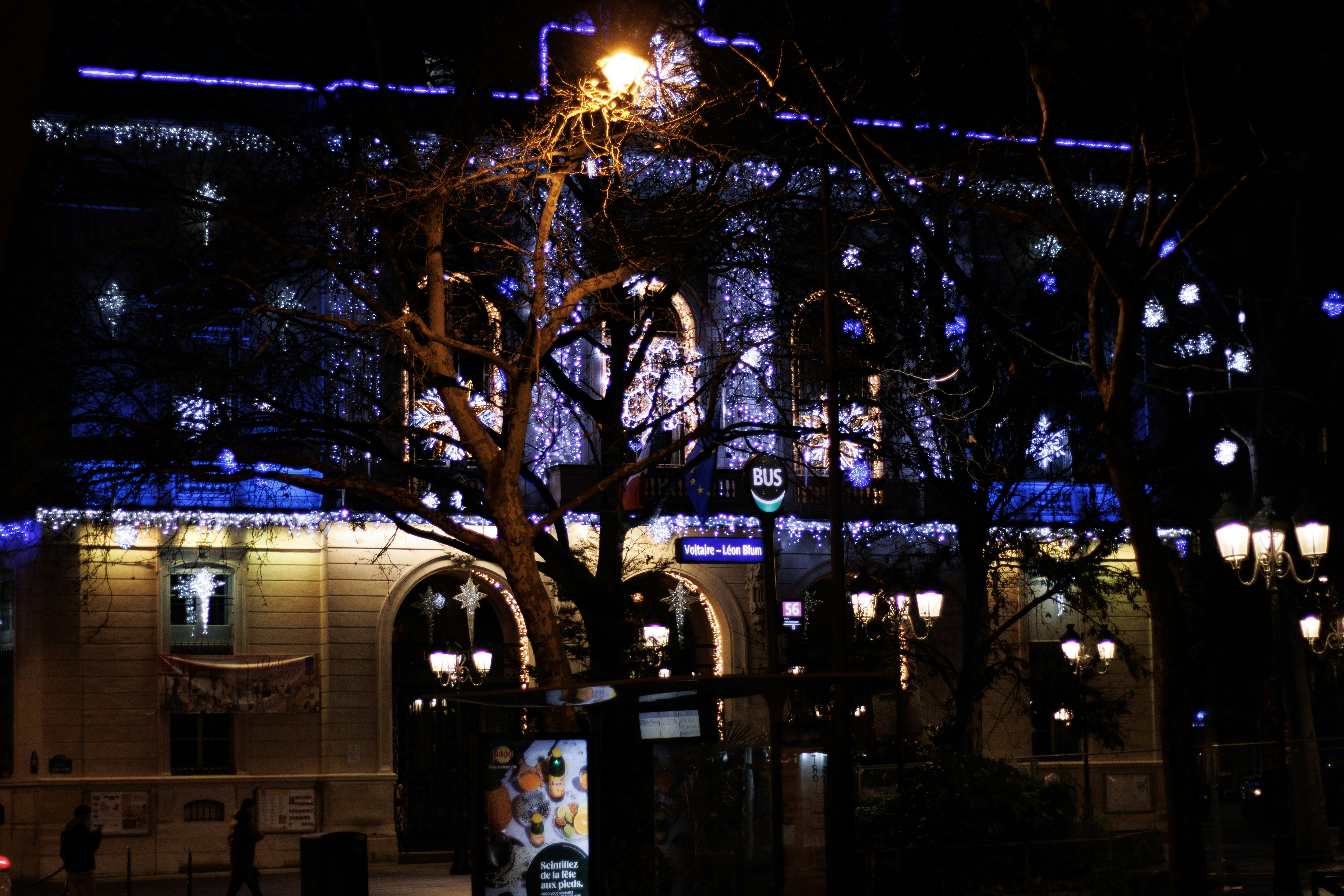 Neon Facade Under Nightfall: Trees Framing a Bright Street Level