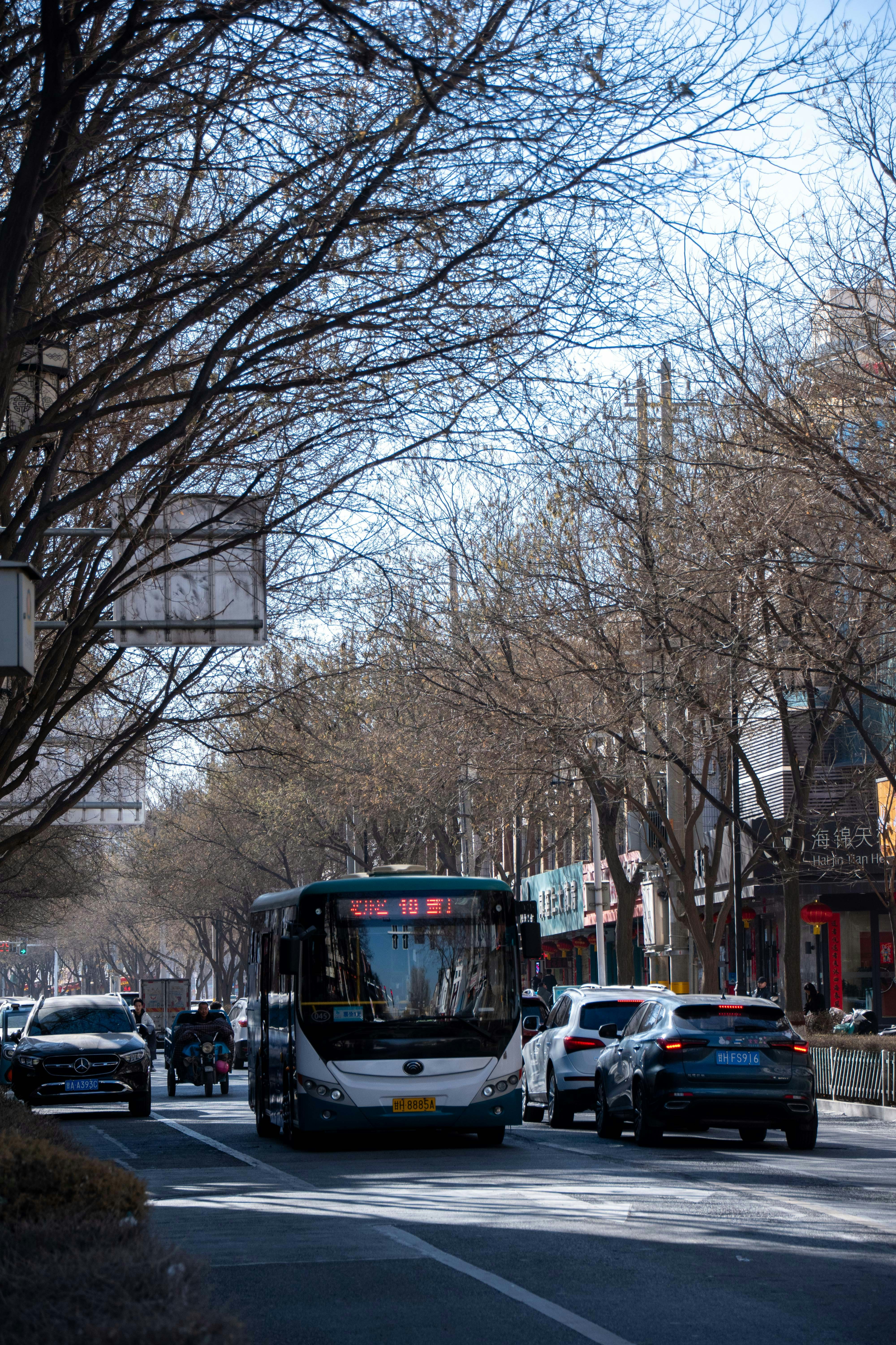 Urban Busfront: Street Corridor Framed by Winter Trees