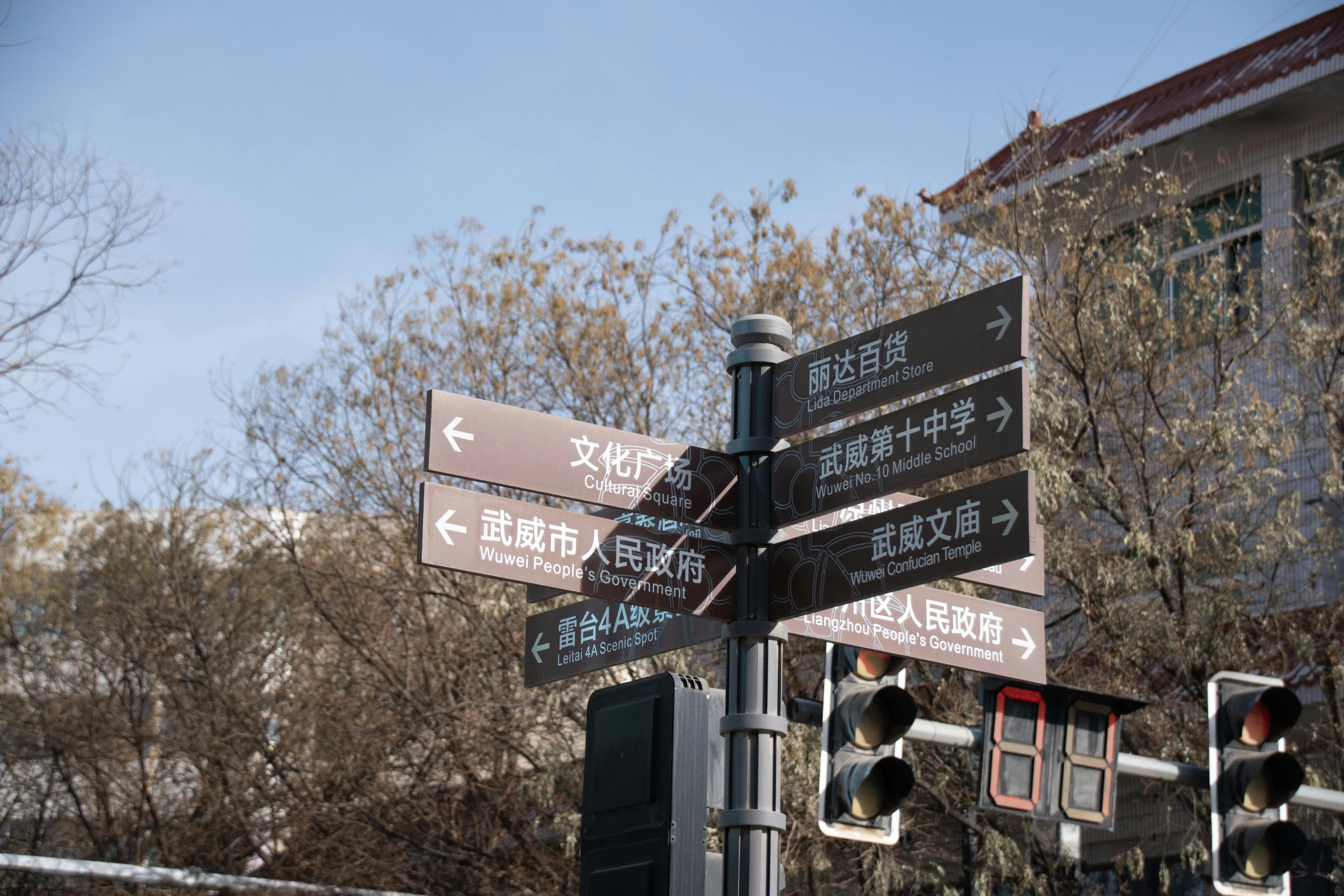 Signpost Mosaic: A Street Corner of Direction and Light