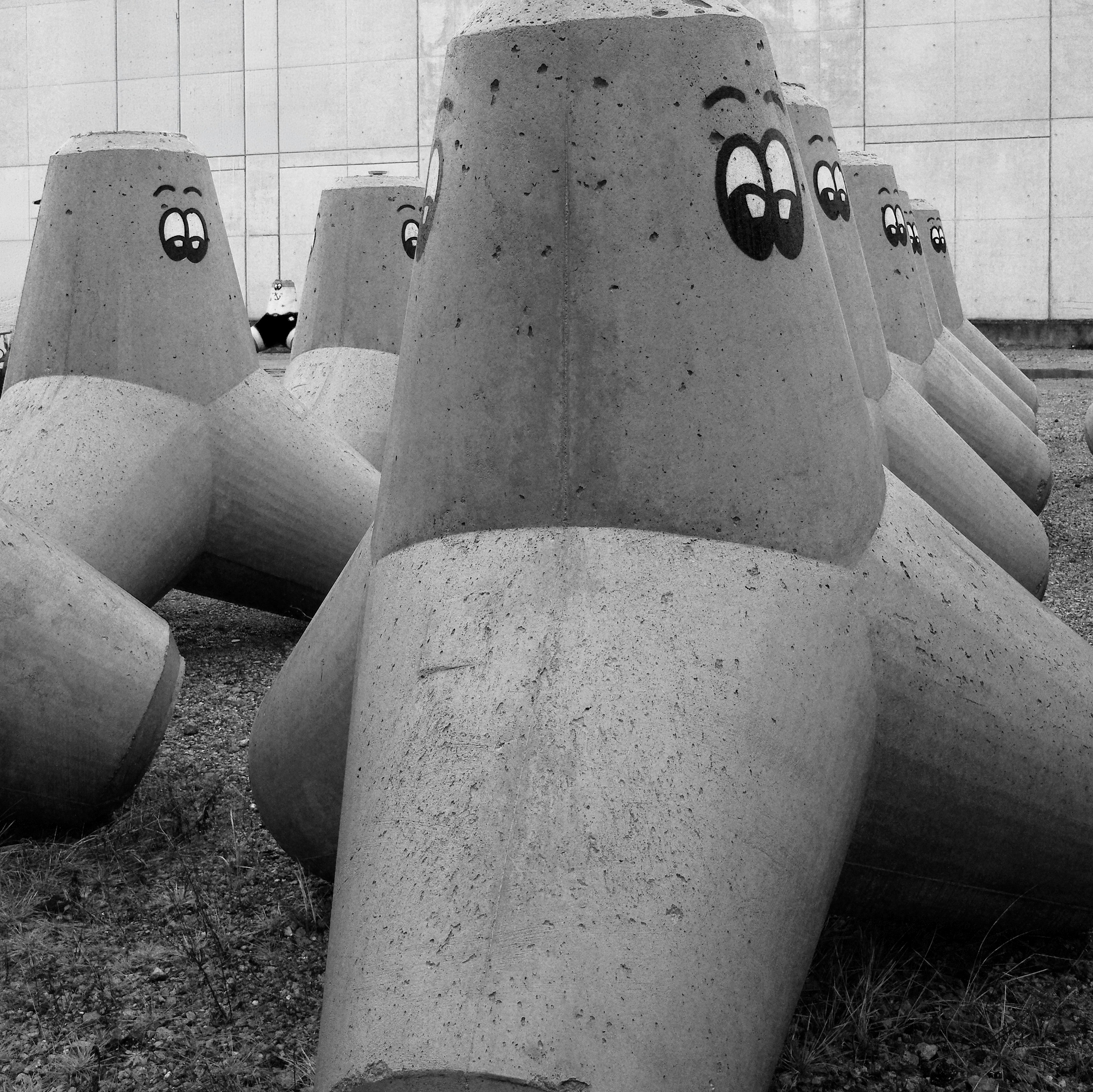 Eyes on the Crowd: Cartooned Stumps Guard the Yard