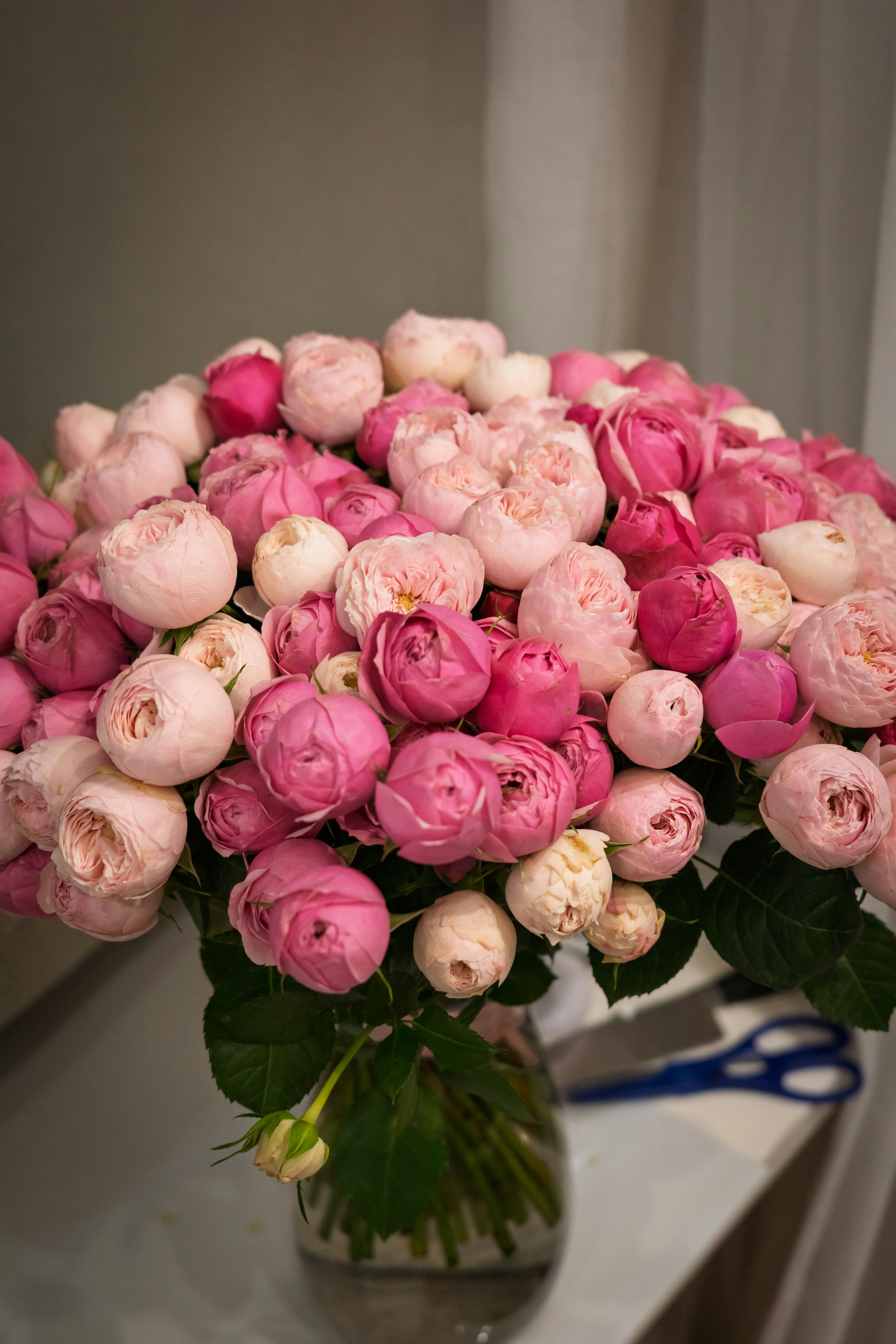 Pink Peony Supremacy in a Glass Vase
