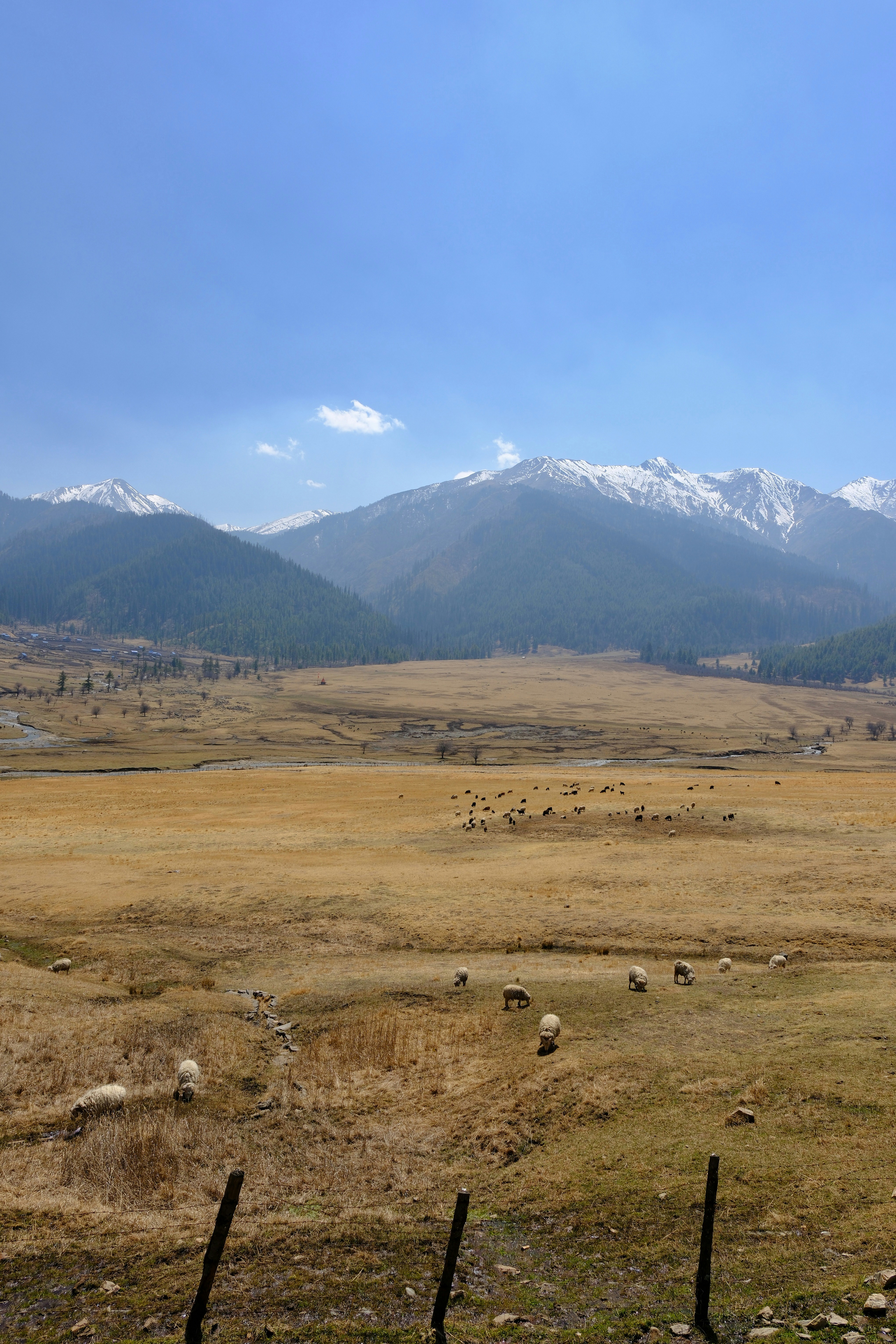 Pastoral Valley Beneath Snow-Capped Giants