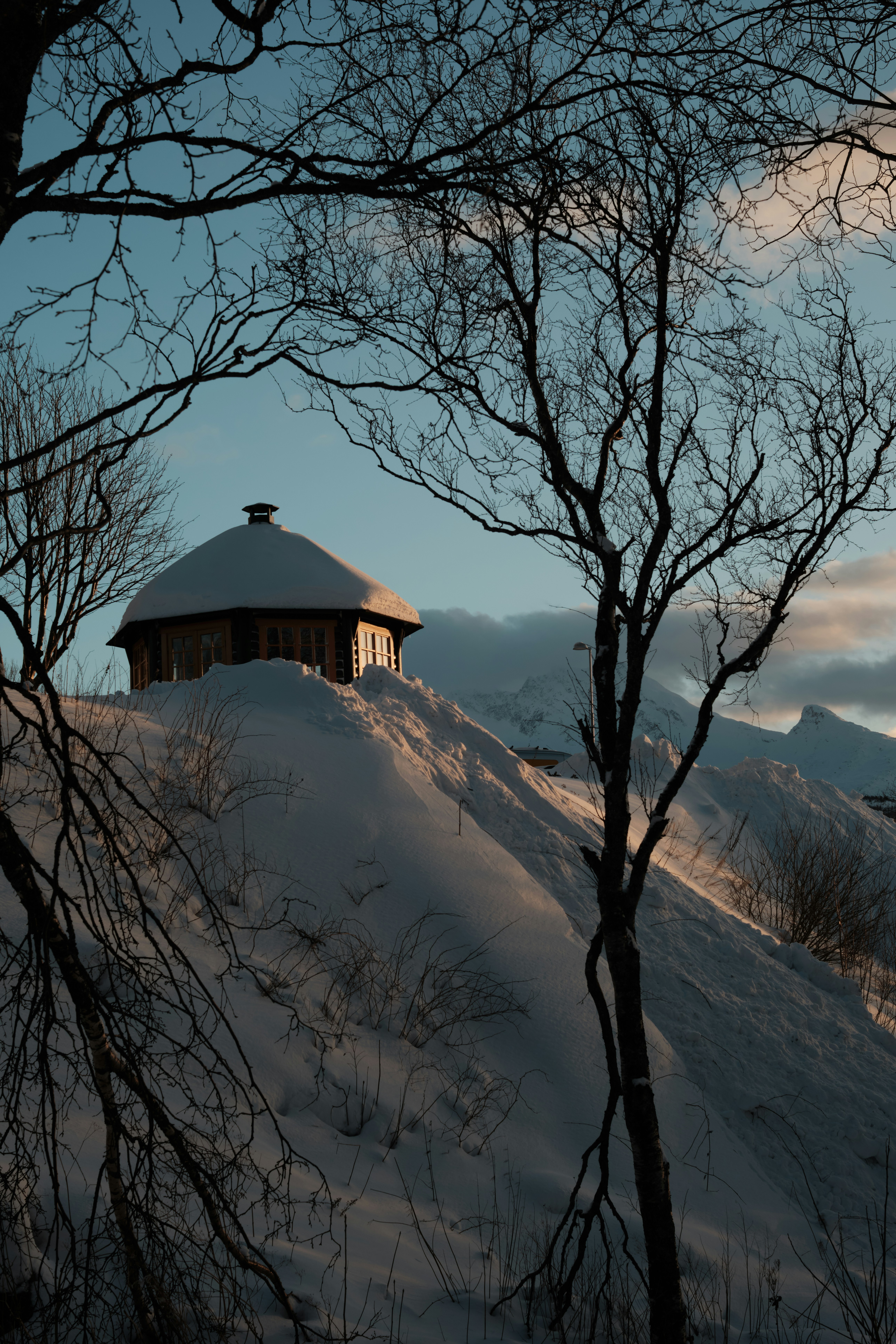 Snowbound Lookout: A Rustic Dome Surrounded by Winter Pines