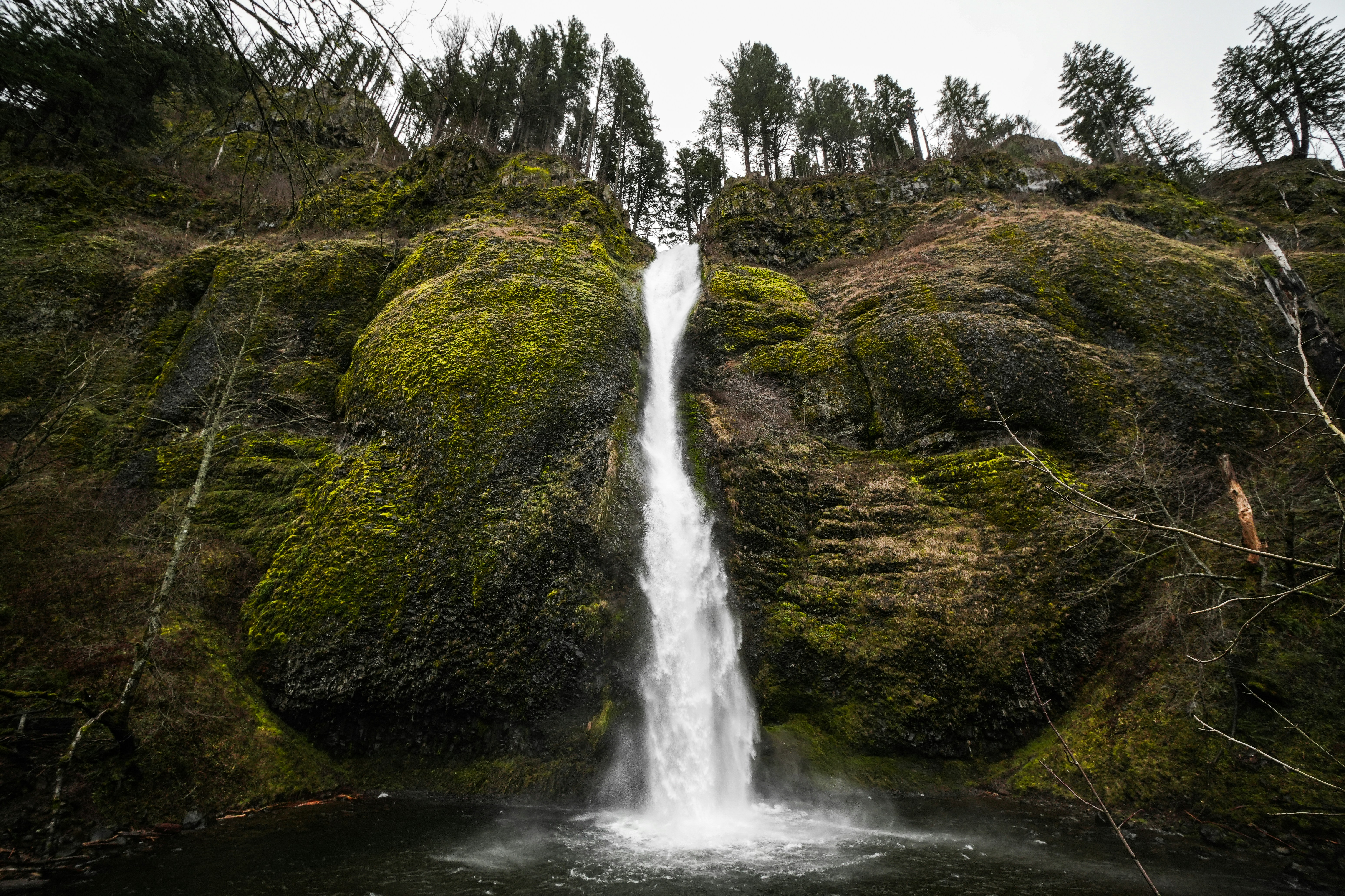 A solitary cascade carves through mossy cliffs beneath a quiet canopy