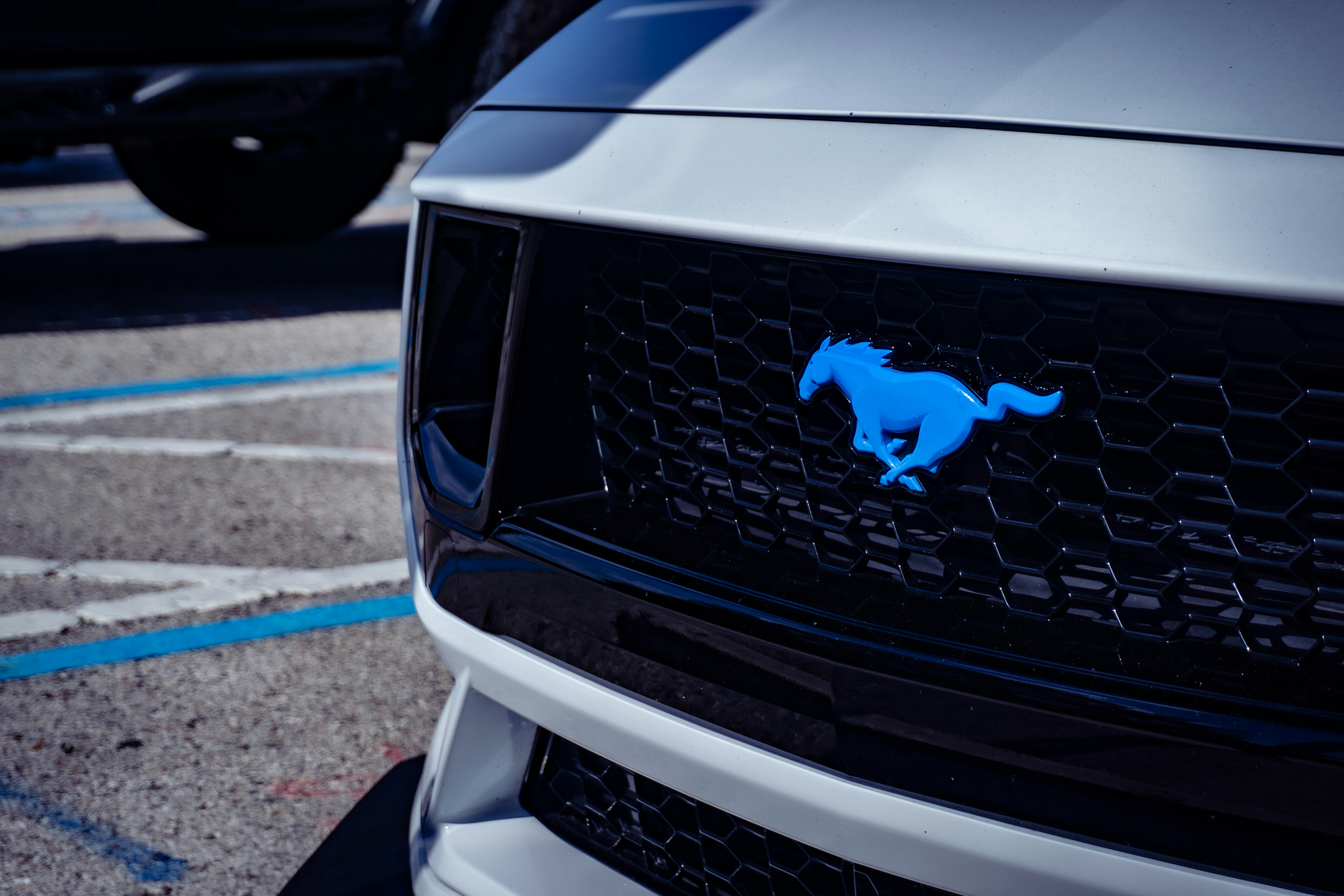 Blue Mustang Emblem Anchor: Front Grille of a White Ford