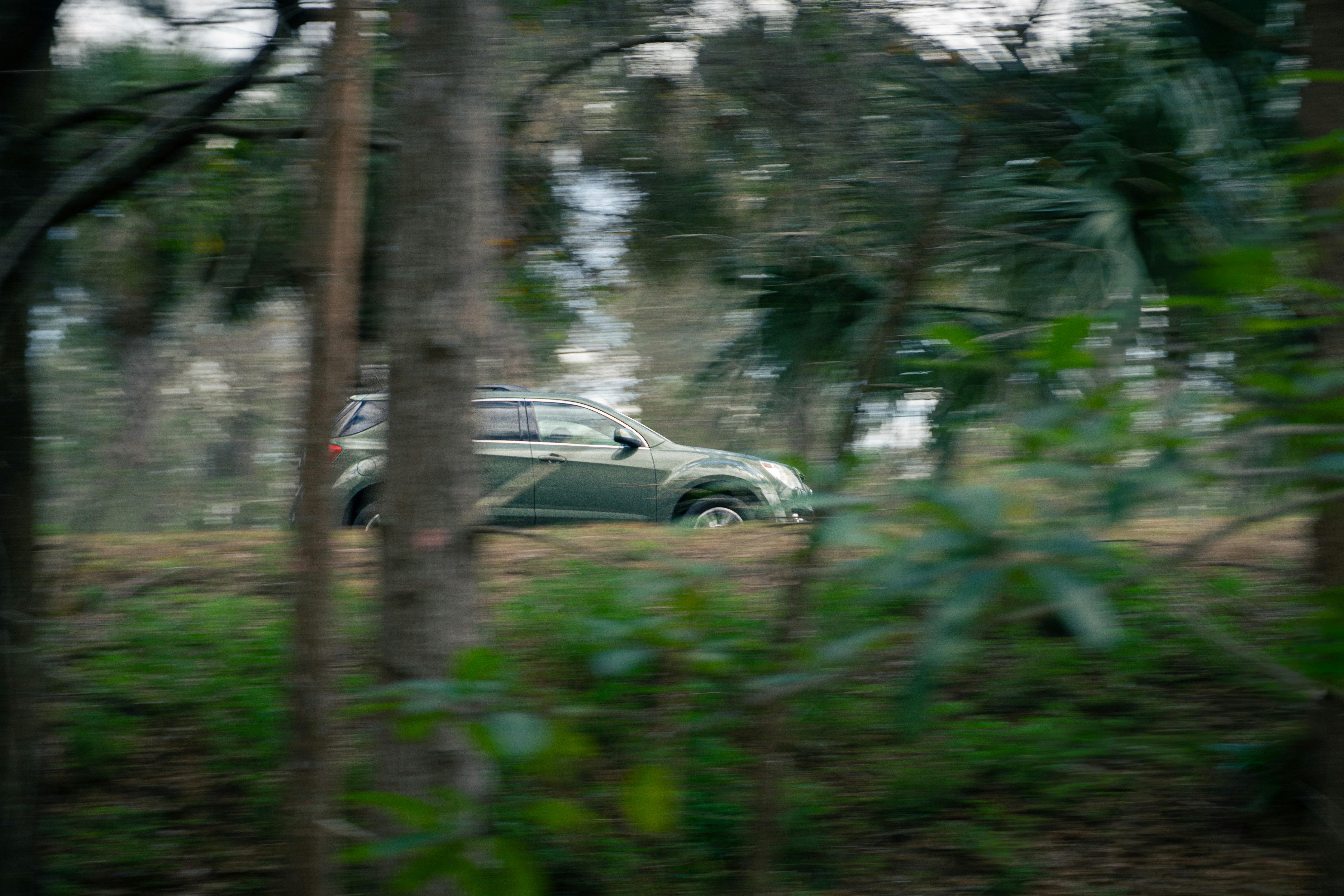 Car on a Secluded Forest Road in Motion