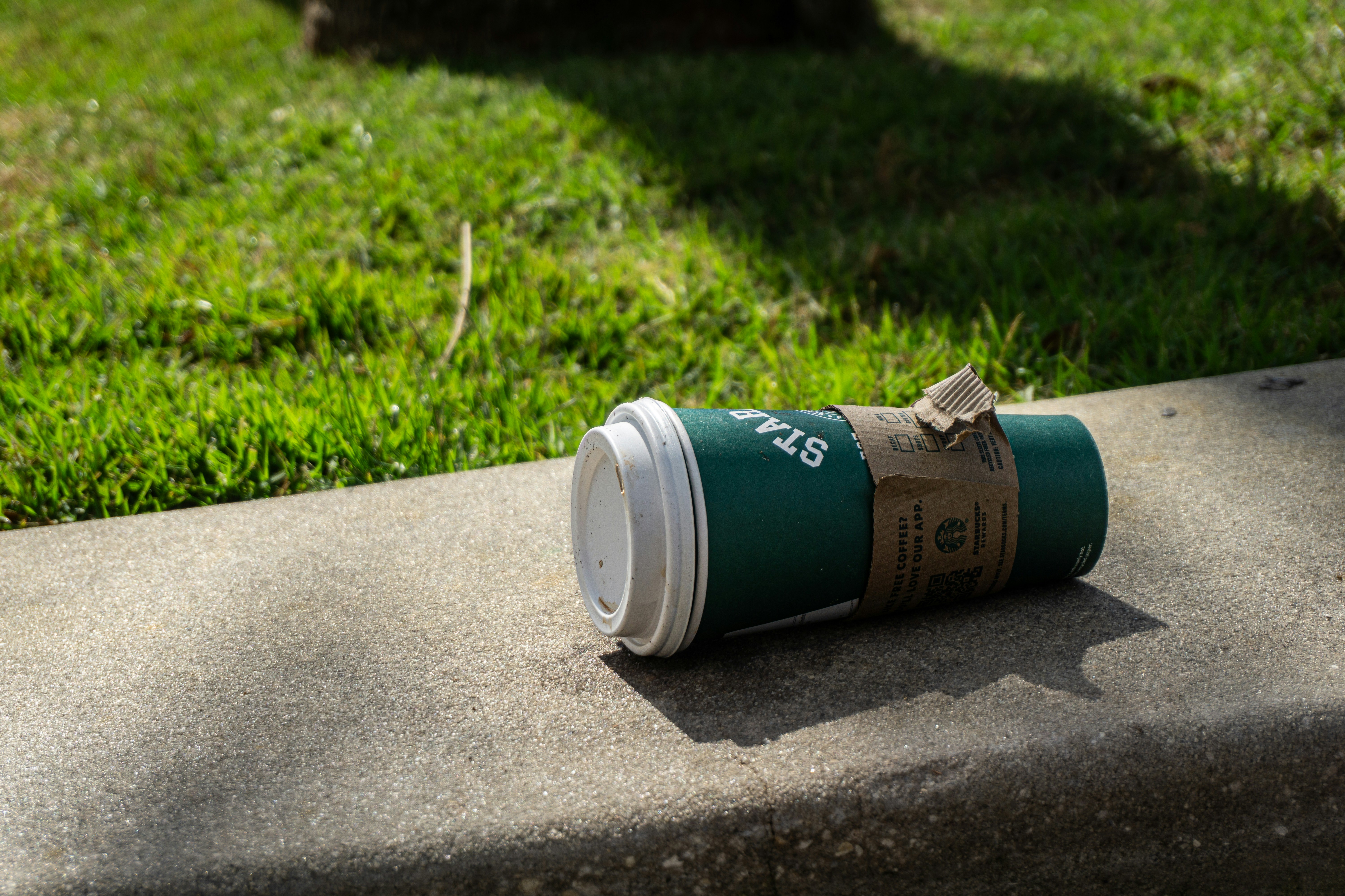 A Solo Cup Cast in Afternoon Light on a Concrete Ramp