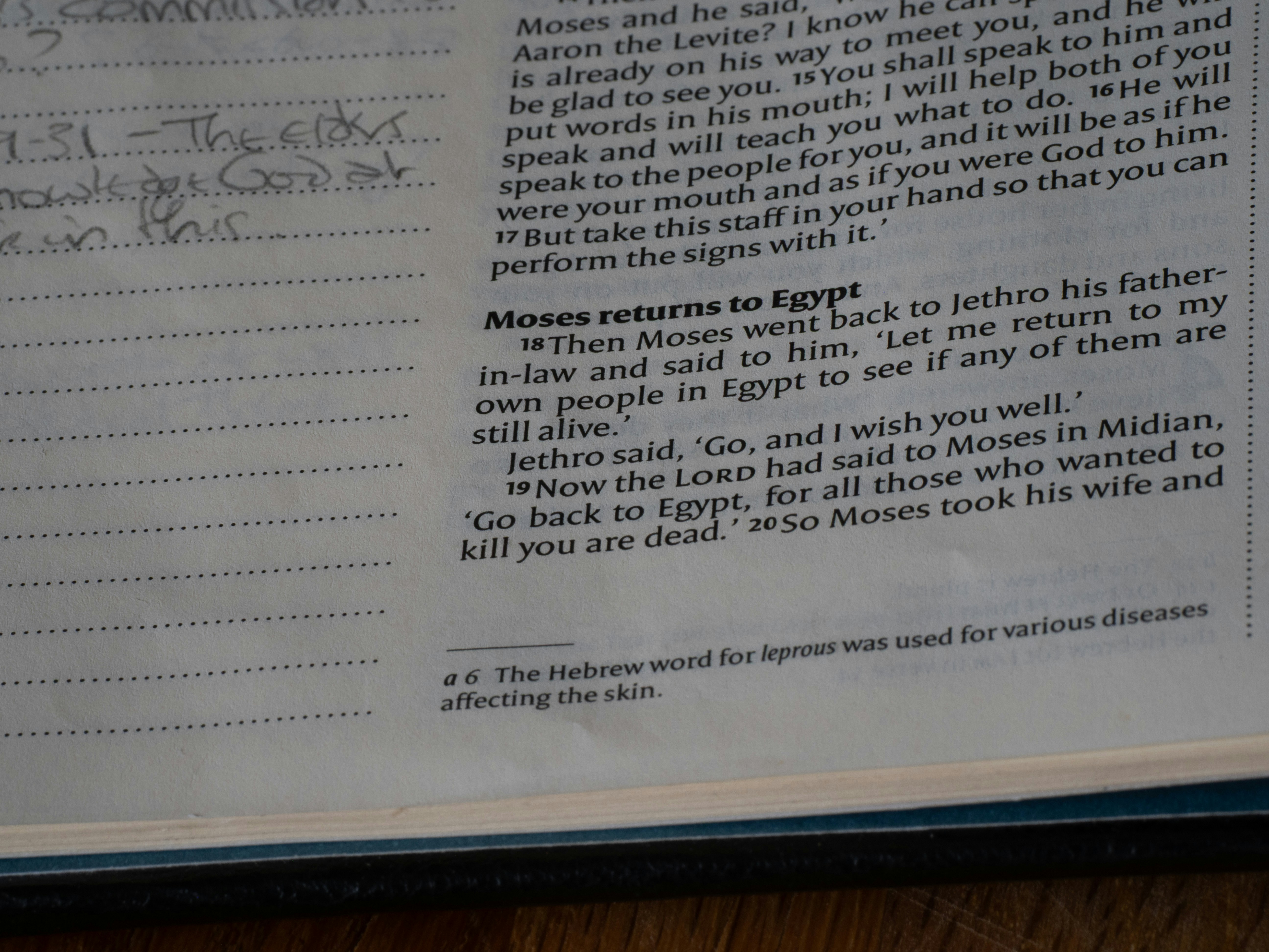 Hidden Pages: A Bible Study Open to The Hebrew Word for Leprosy