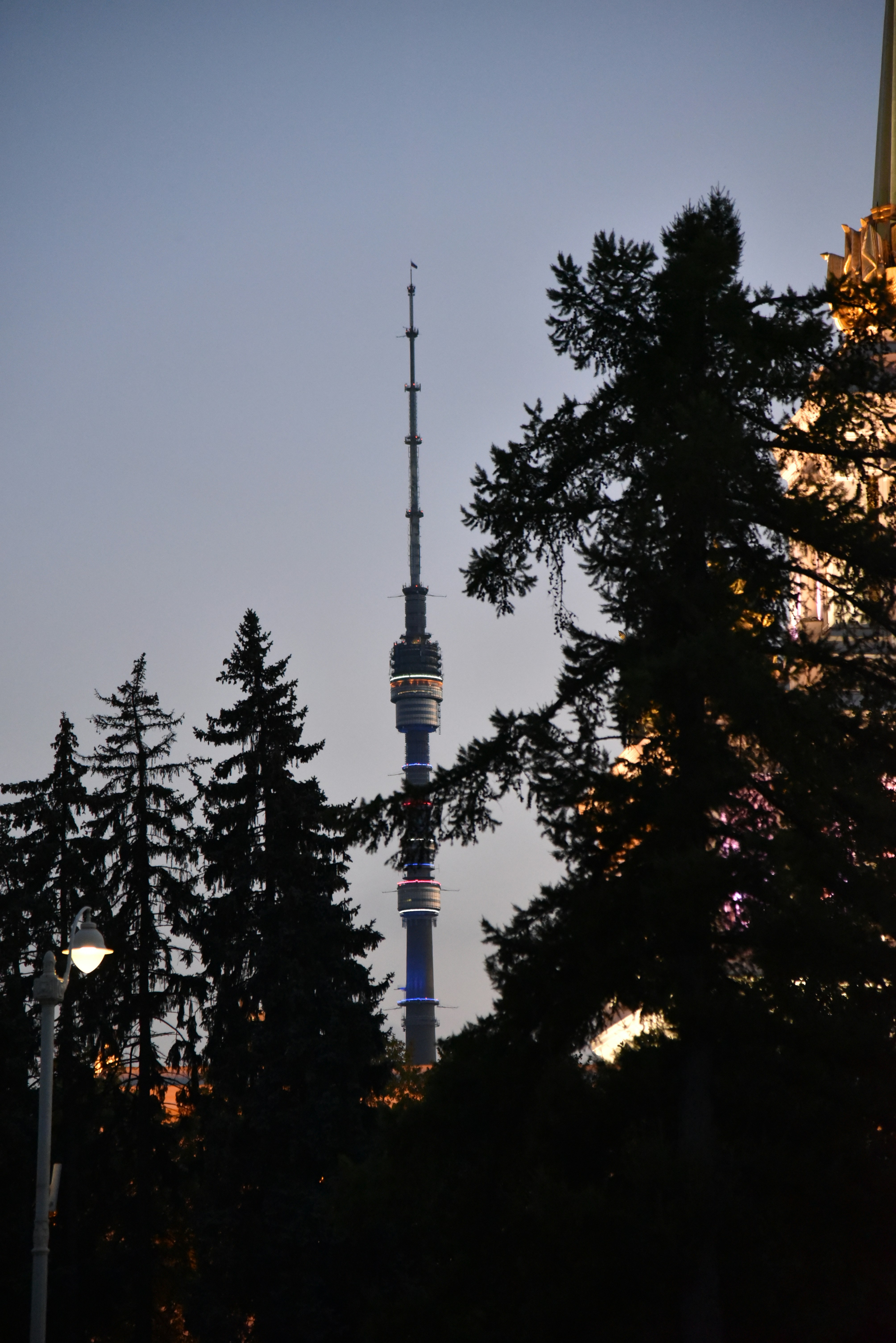 Twilight Spire Surrounded by Pines