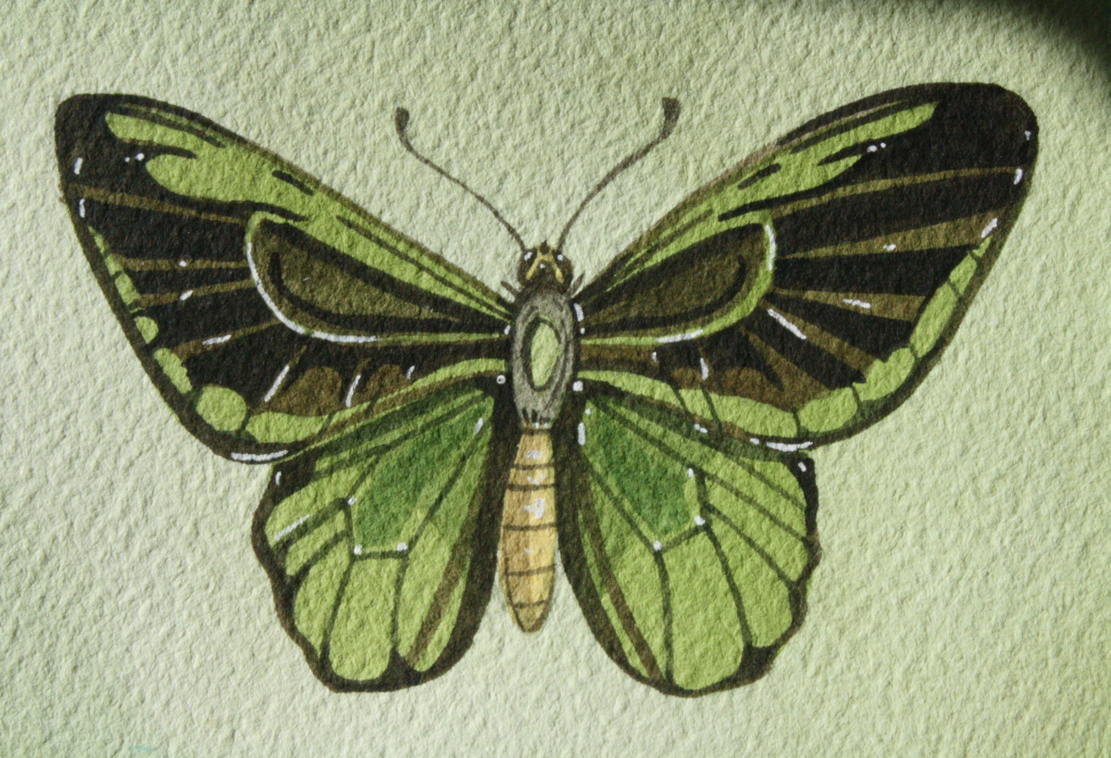 Emerald Wings on a Misty Wall