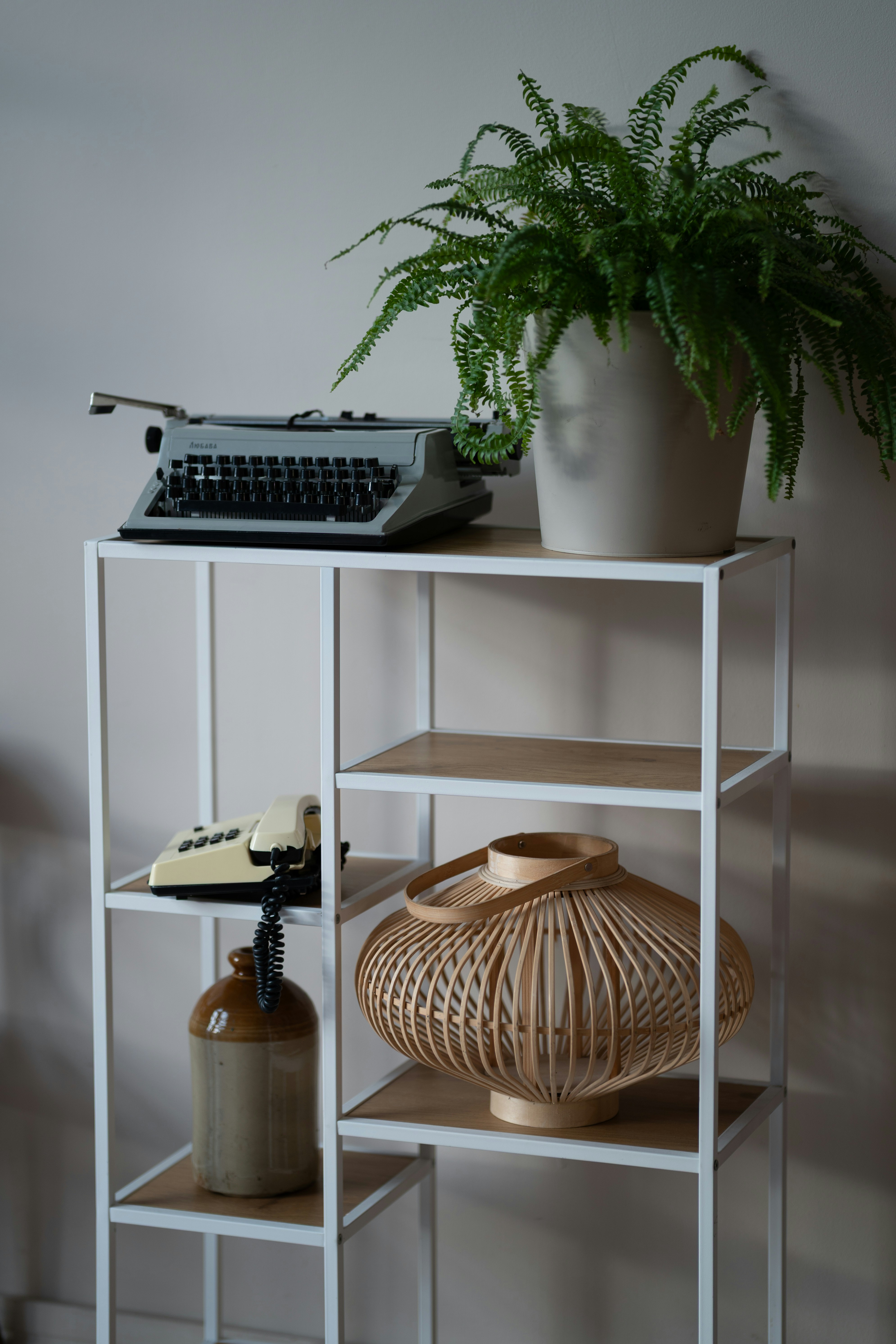 Vintage Typewriter Resting Among Modern Shelves and Greenery