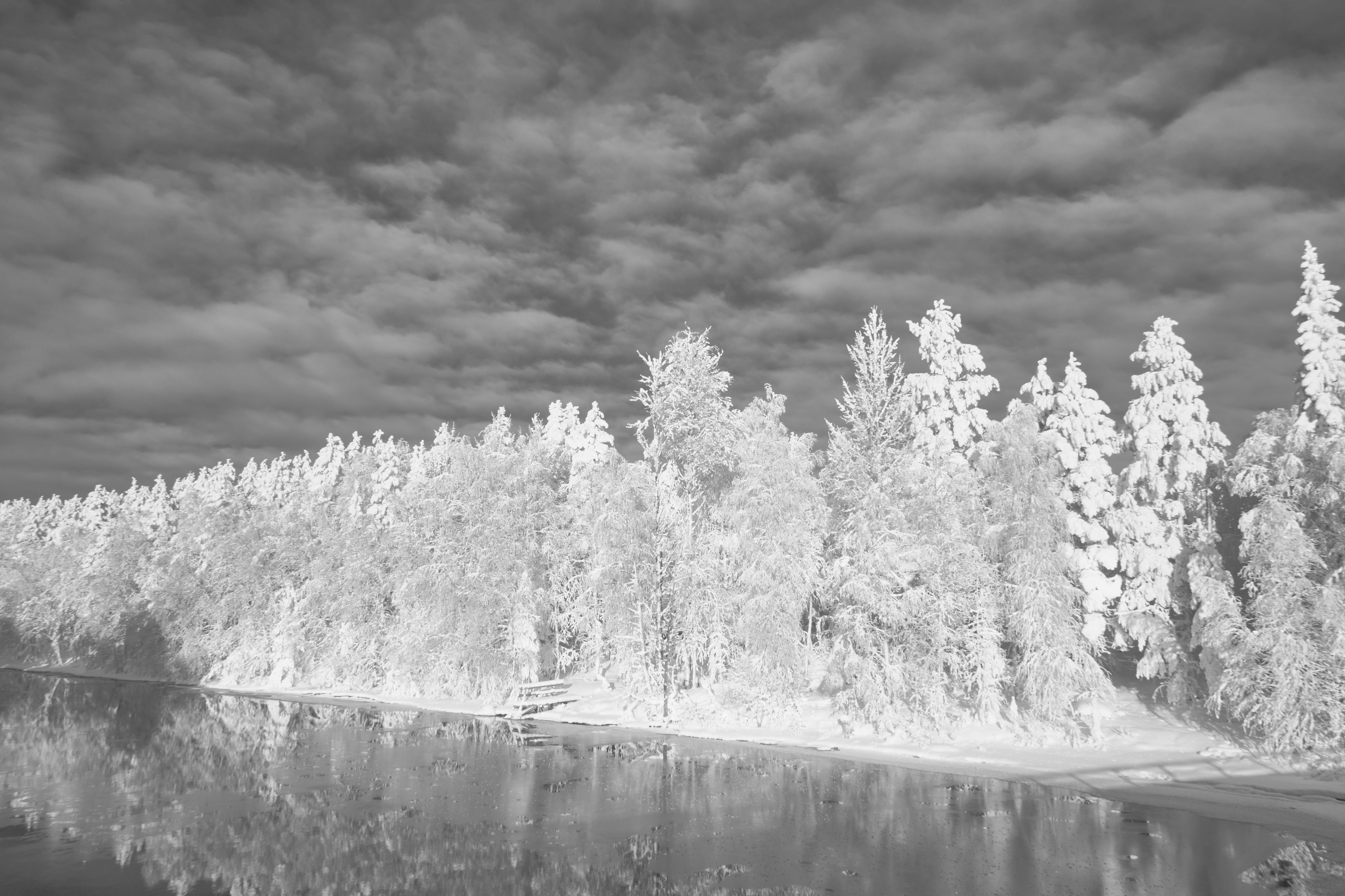 Icy shoreline silhouettes under a brooding sky