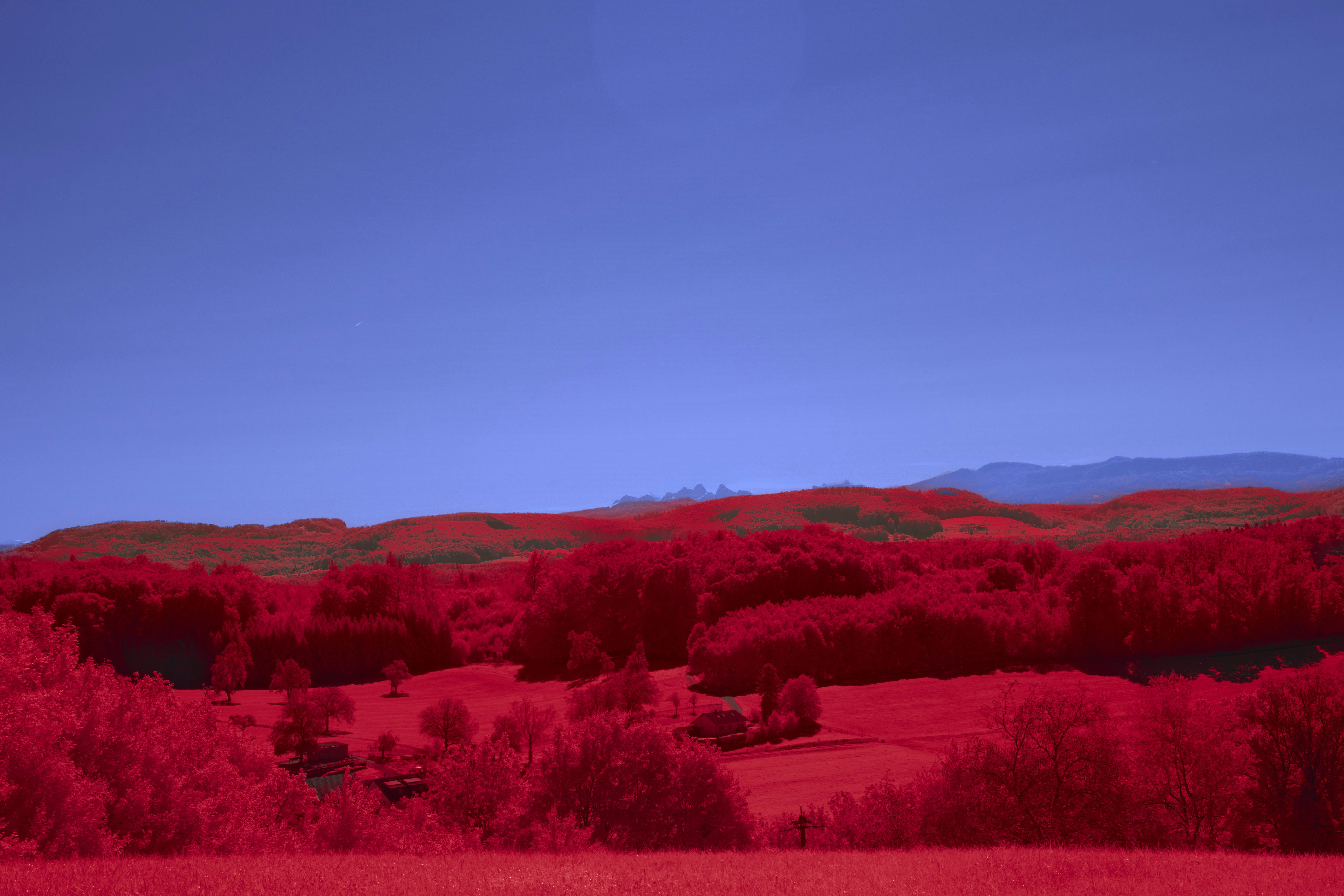 Red Earth and Blue Sky: A Quiet, Alien Landscape