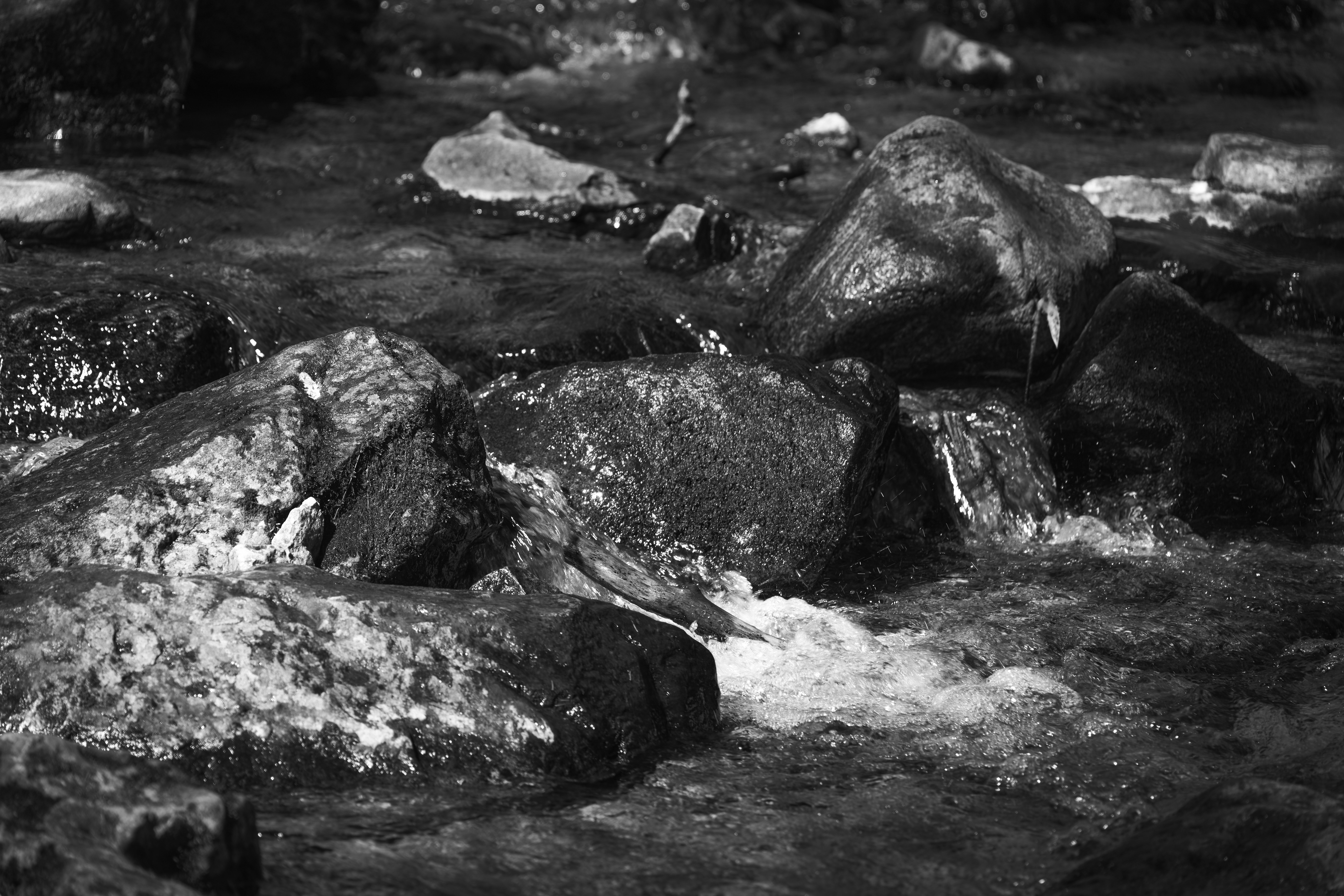 Rugged River Stones in Quiet Flow