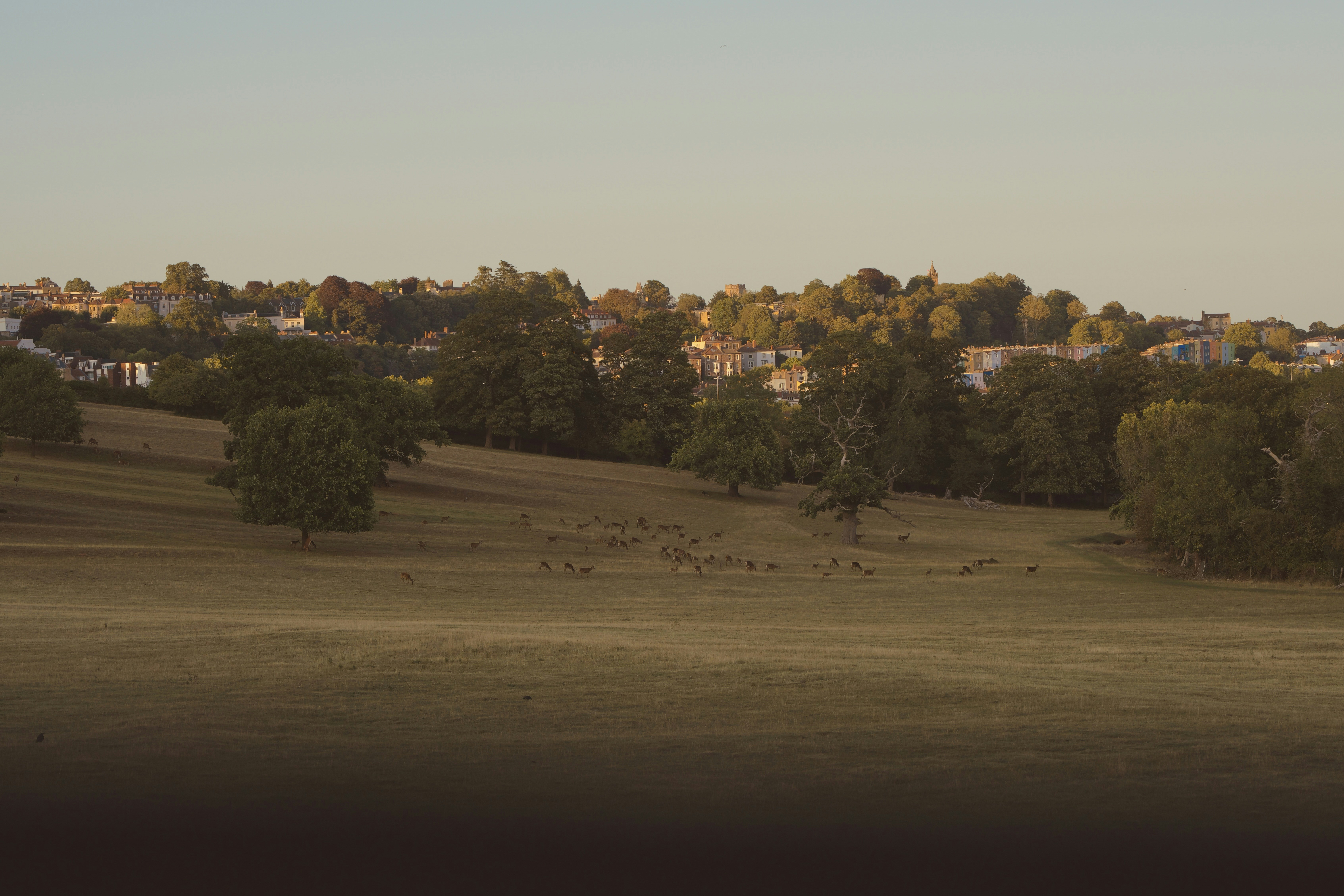 Distant Suburb Horizon Upon a Quiet Hill