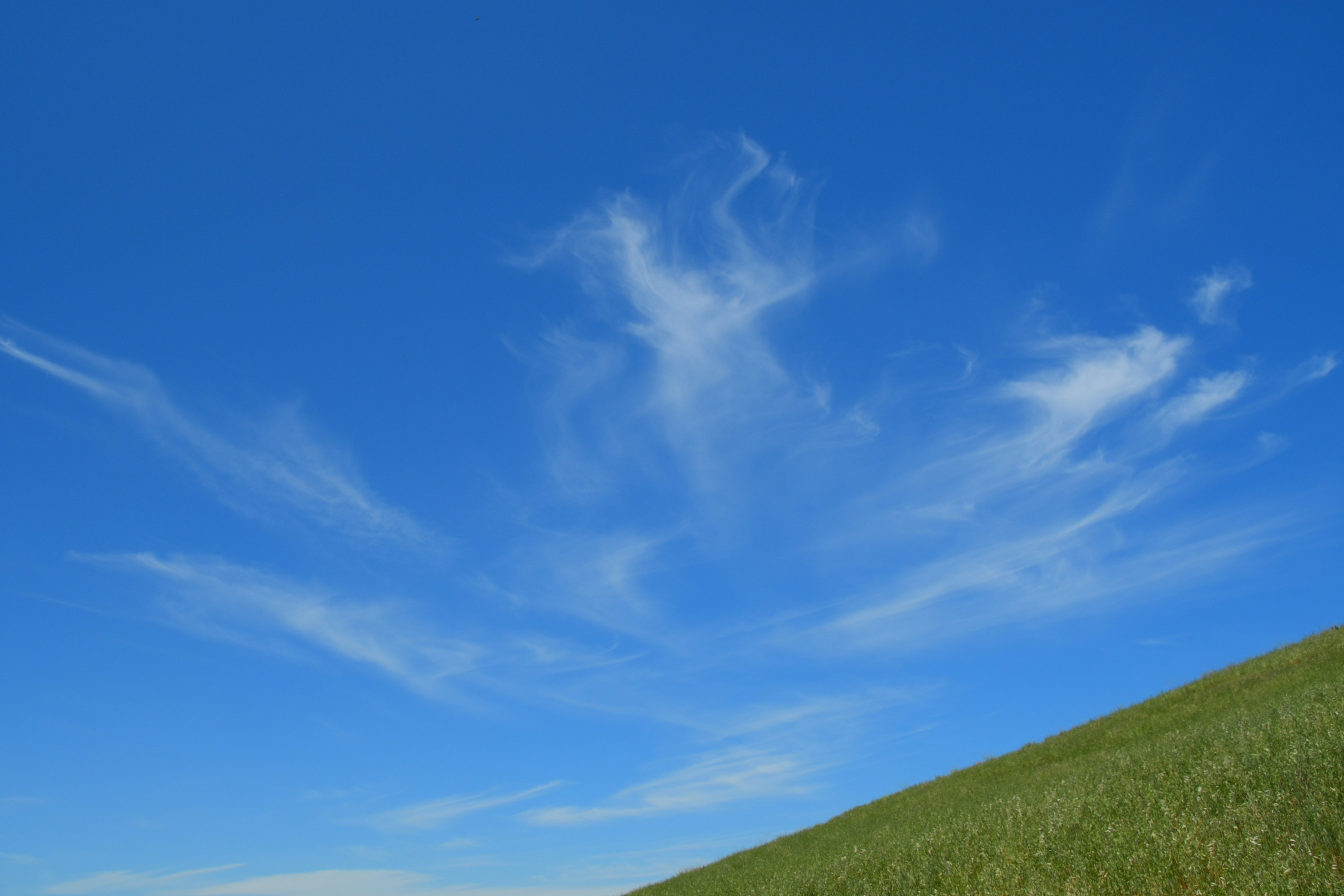 Skyward Drift: A Quiet Slope Beneath a Cerulean Arc