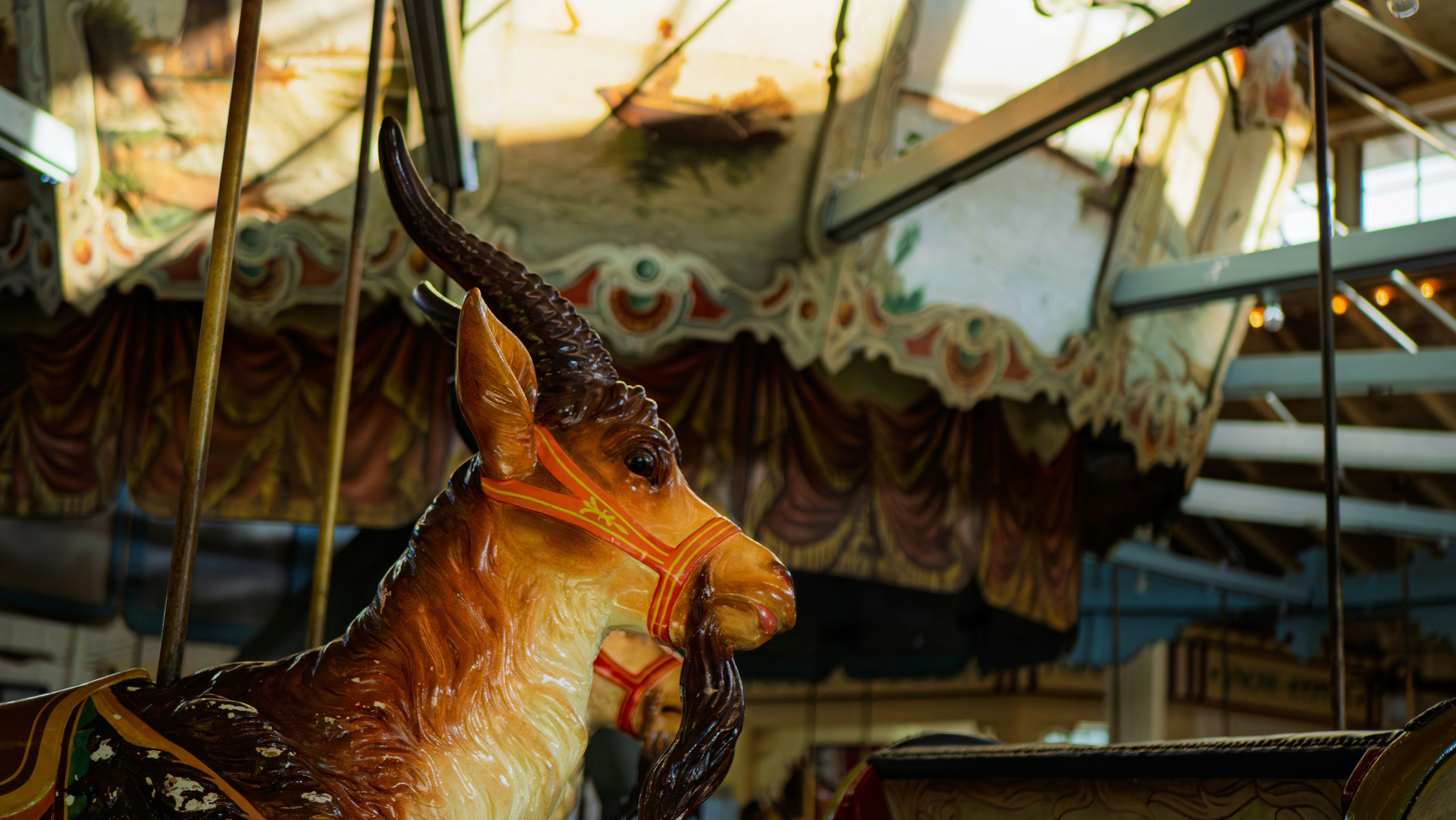 A close-up of a carousel goat