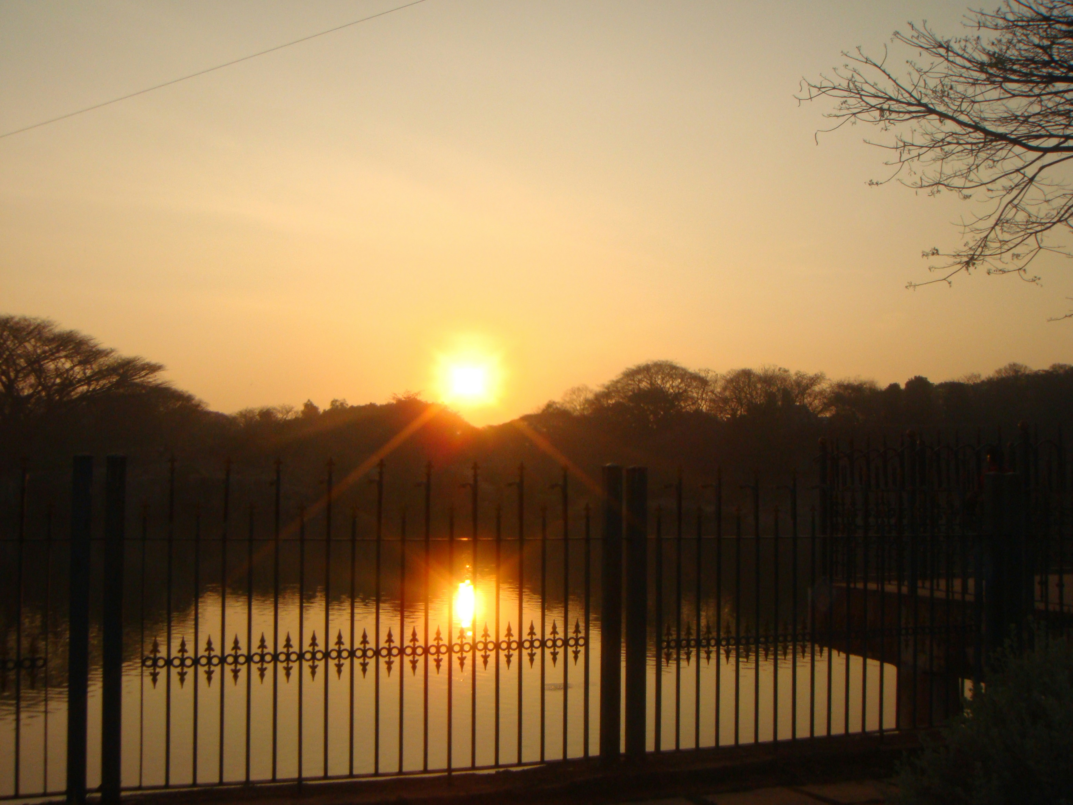 Sunset over a calm lake with trees