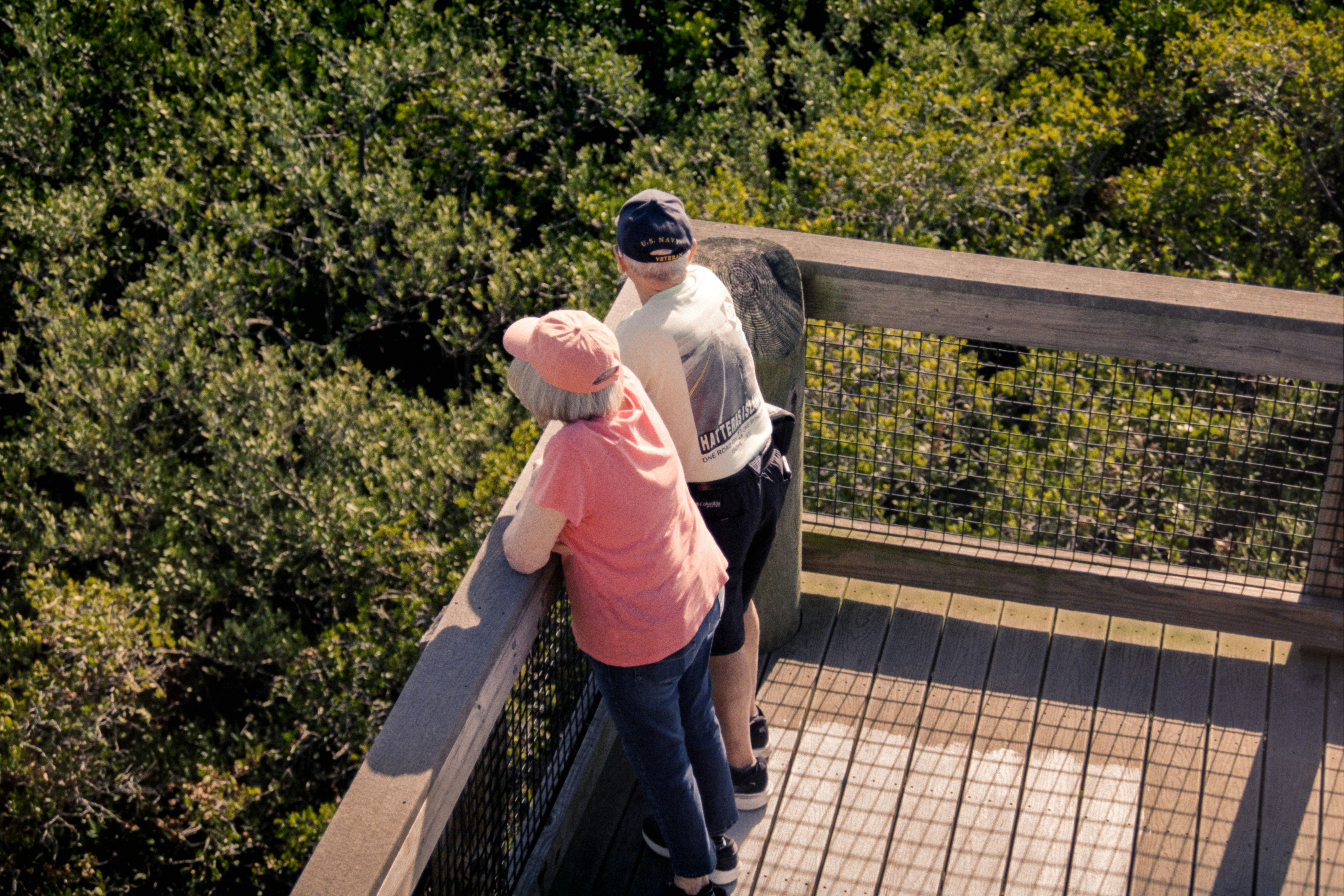 Two on the Overlook: Shared View from a Woodland Deck