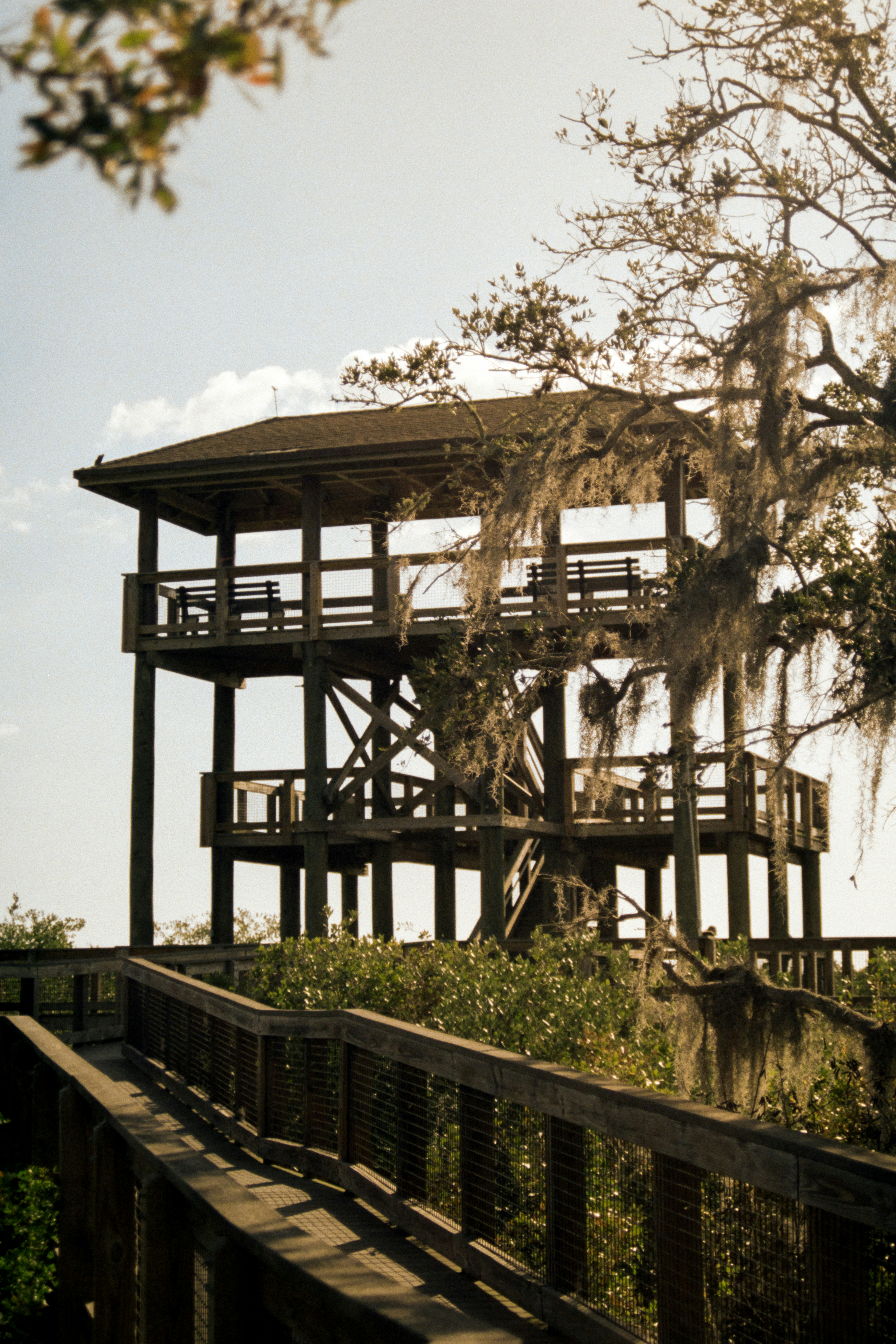 Elevated Watchtower Overgrown with Spanish Moss