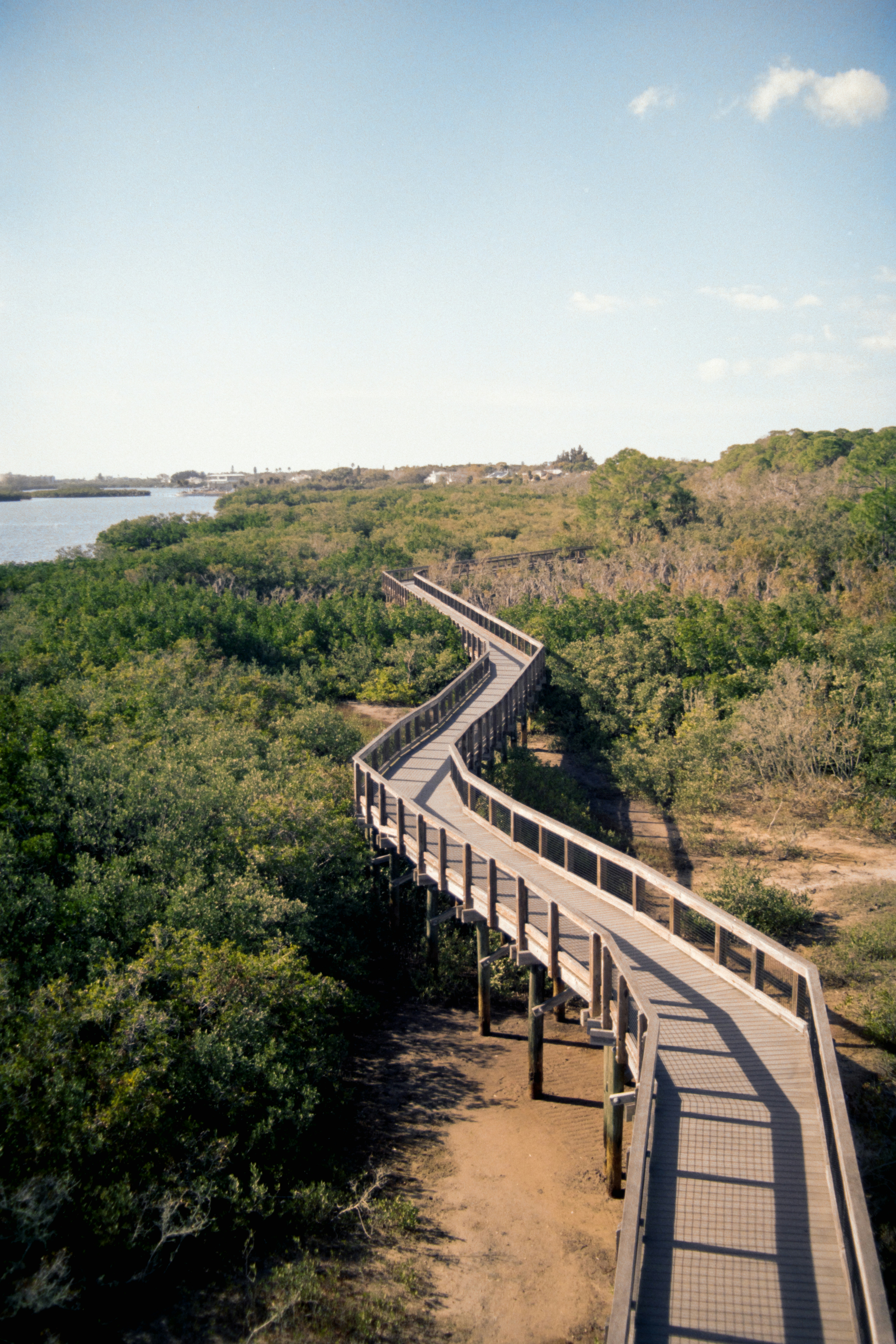 Meandering Boardwalk Through Coastal Marshes