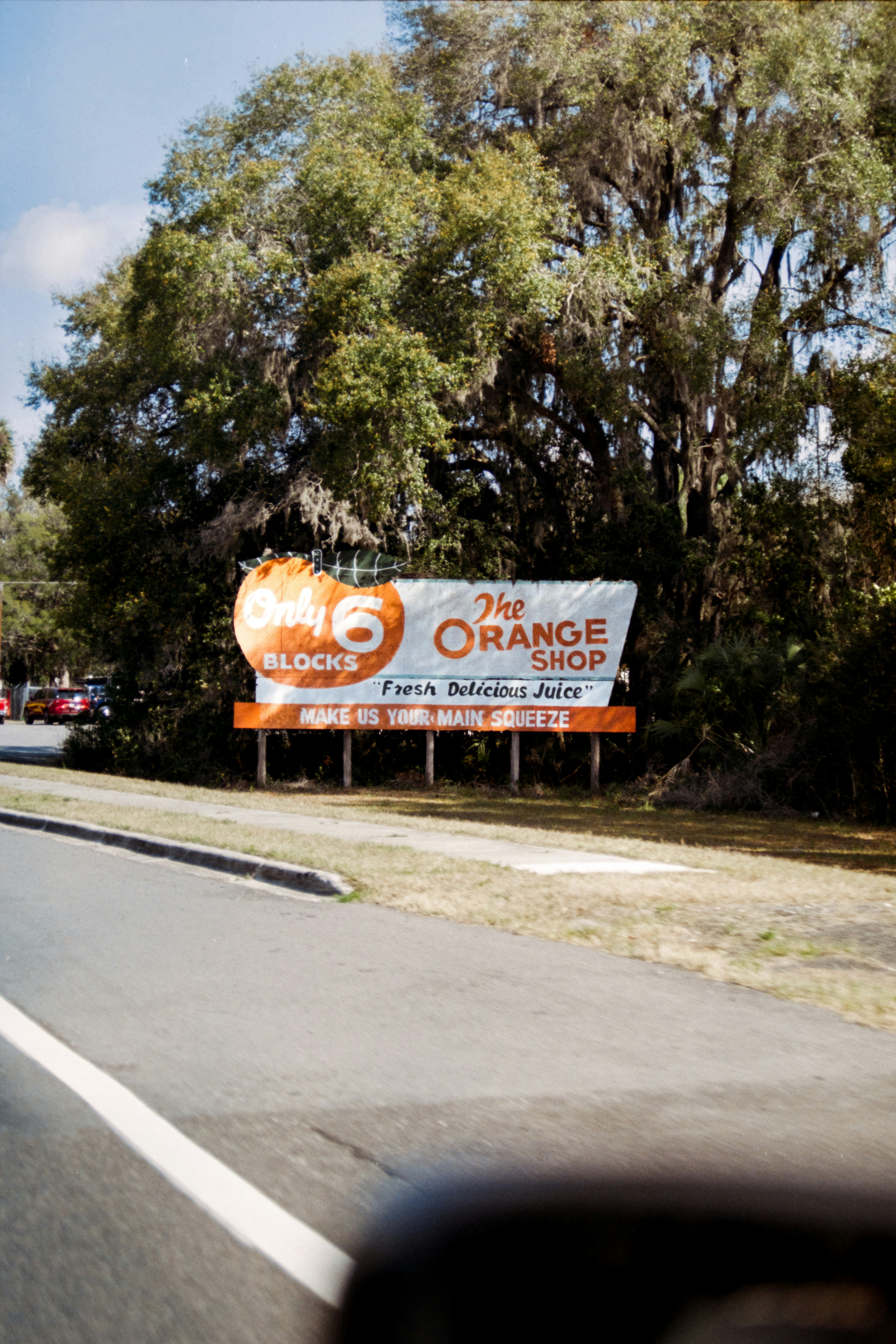 Billboard Orchard: An orange shop sign amid trees beside a curved road