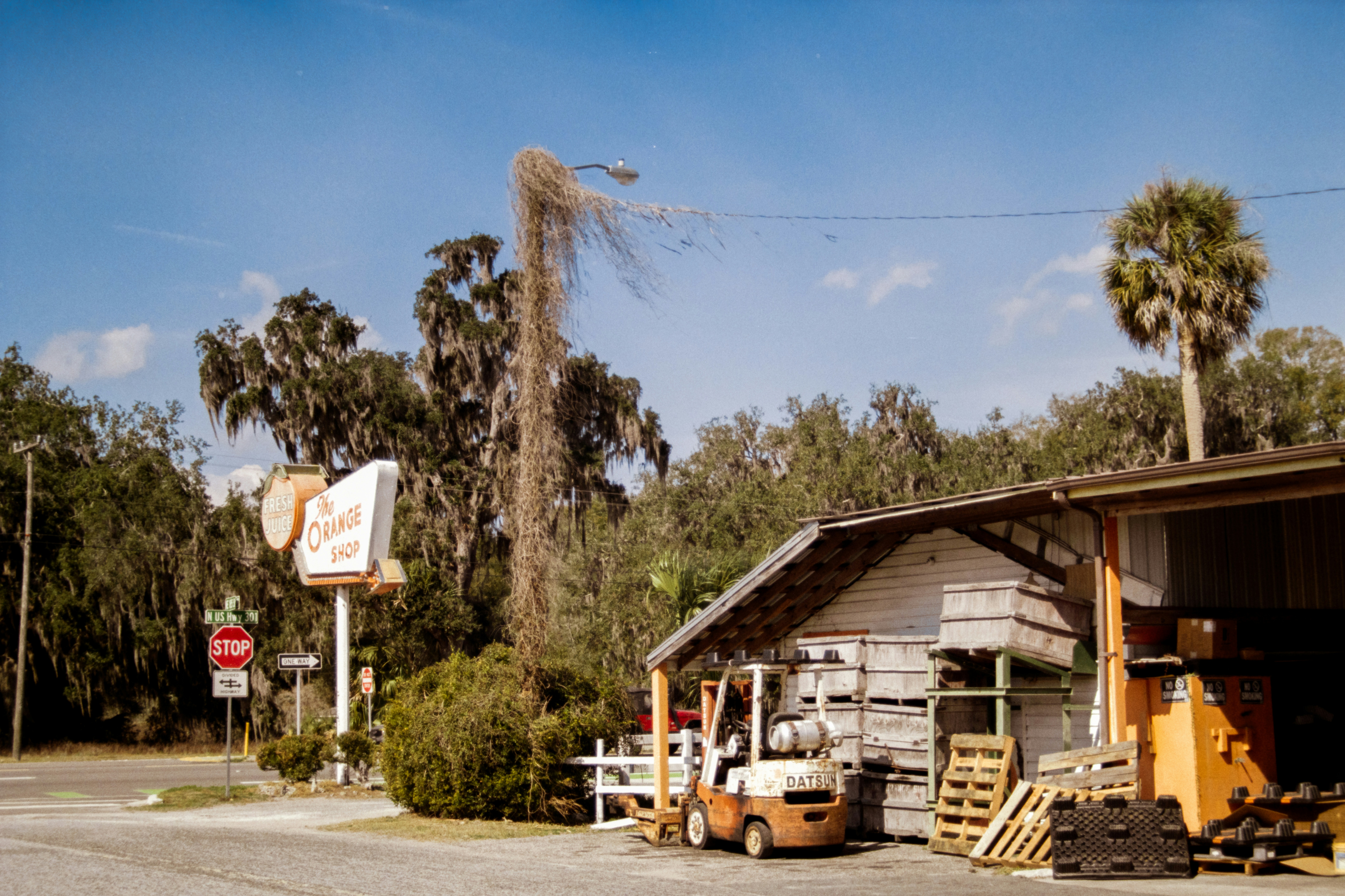 Quiet Yard, Busy Forklift: A Small-Scale Logistics Scene