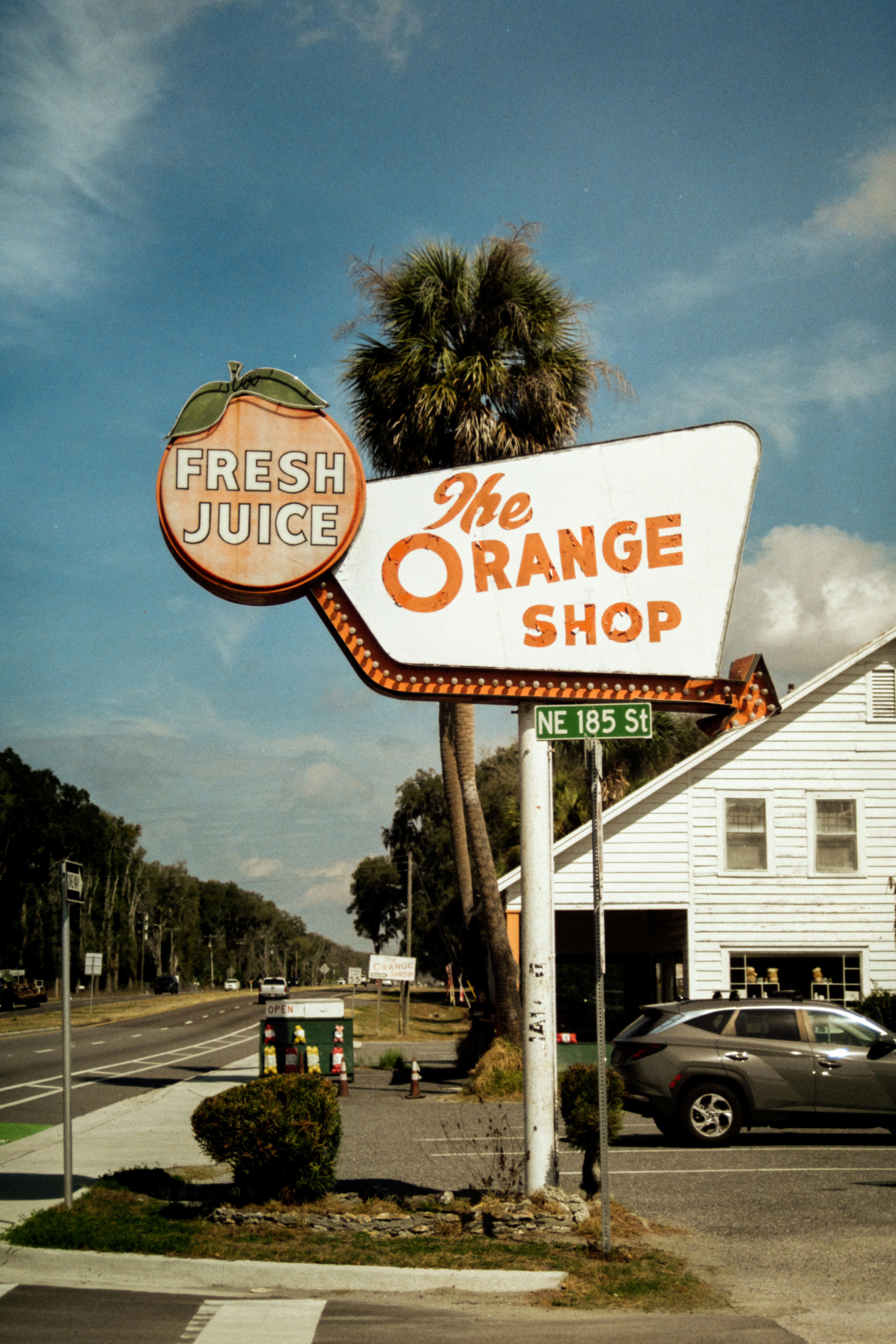 Neon Orange: The Icon Amid Palm Shadows