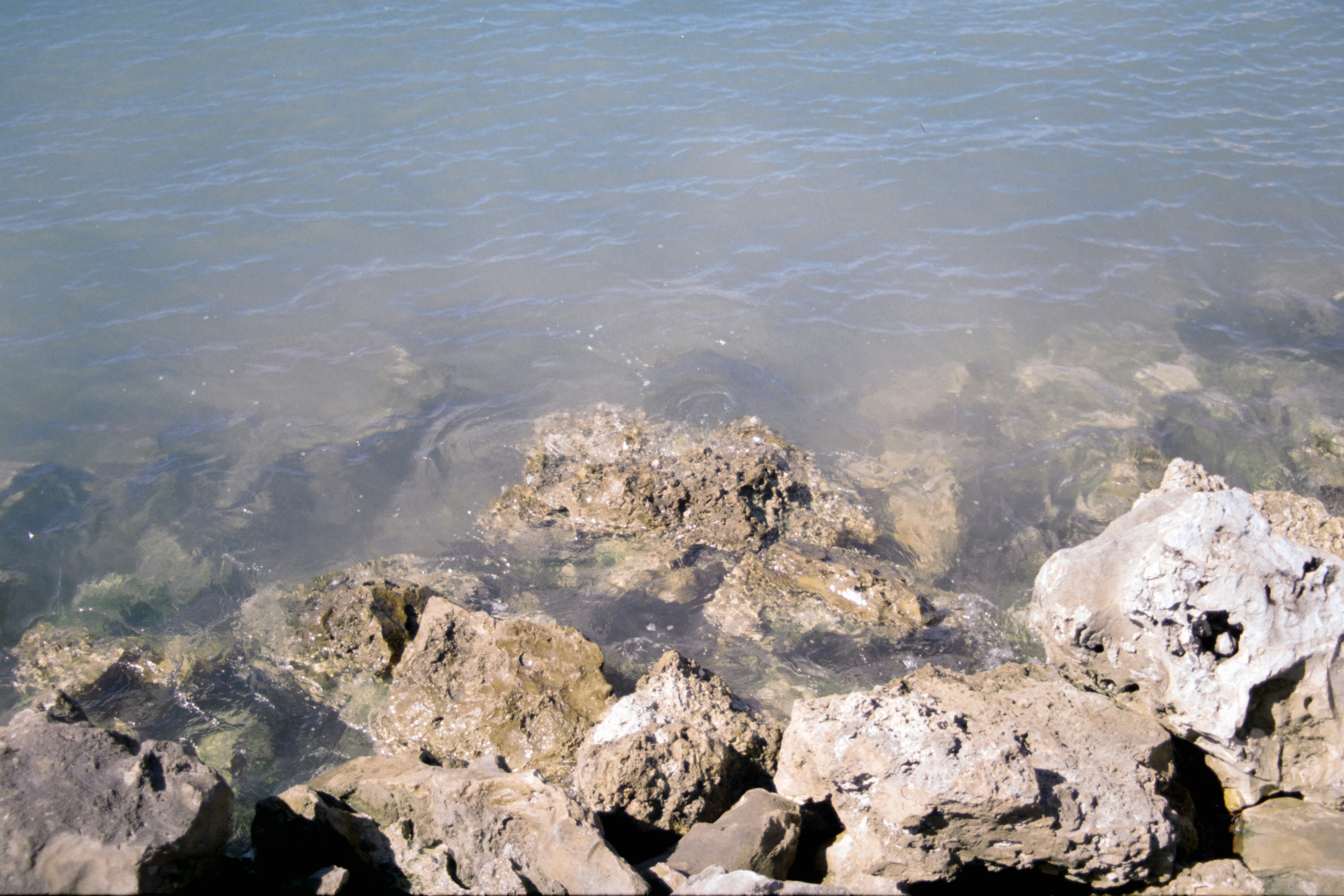 Rugged Seaside Edge: Timeworn Basalt Meets Quiet Tide
