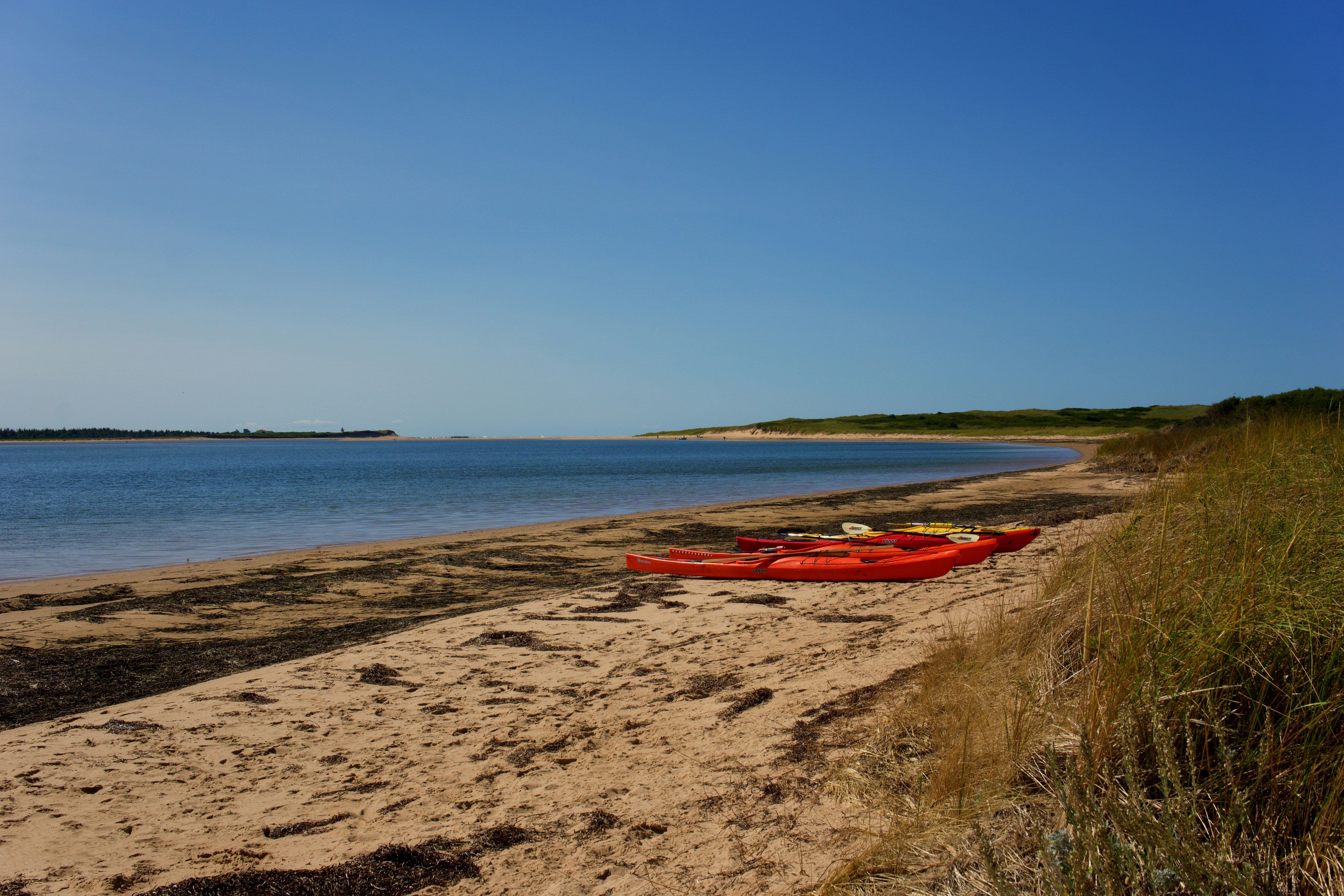 Red Kayaks Resting along a Quiet Sandy Shore at Dusk