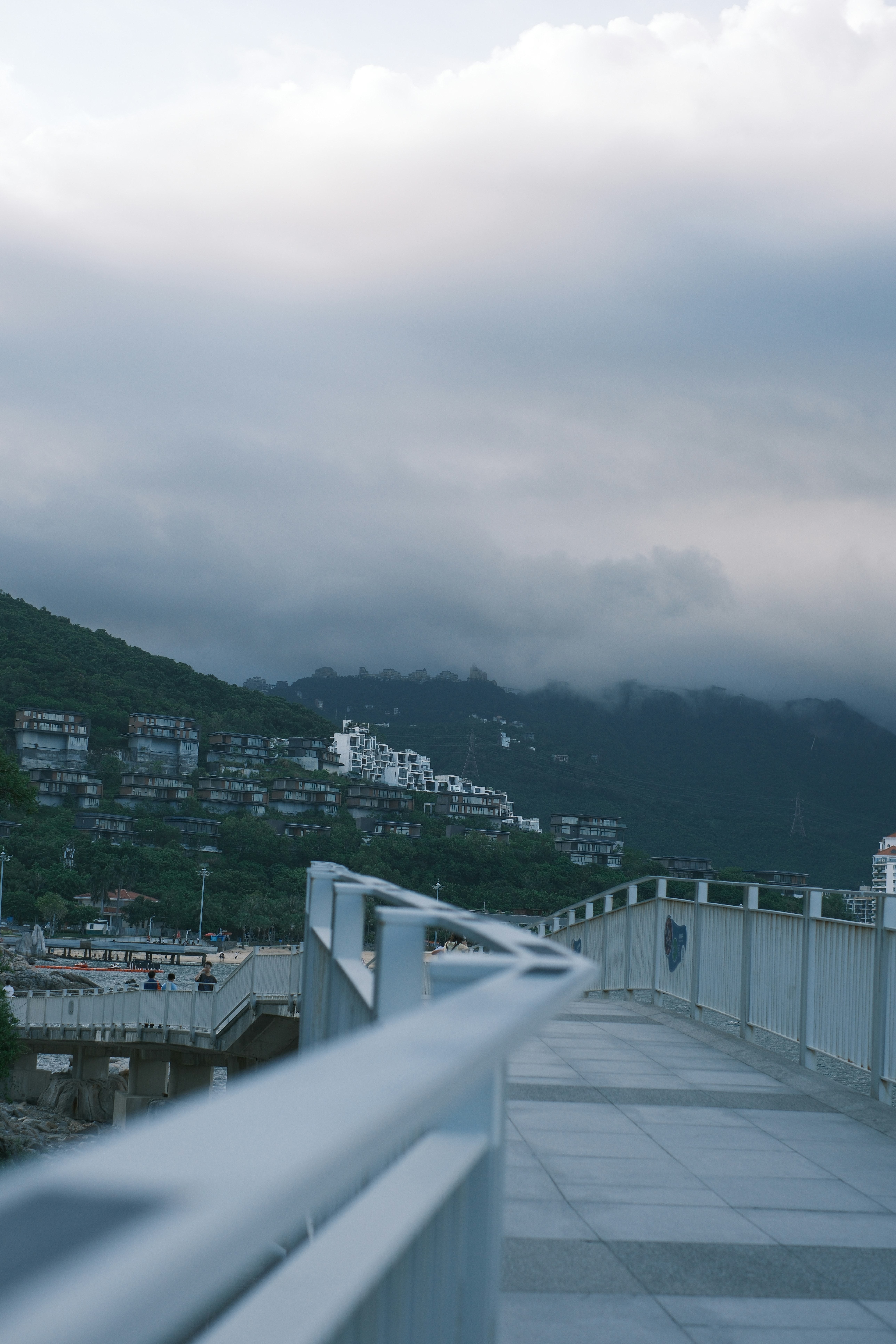 Bridge to the Misty Coastline