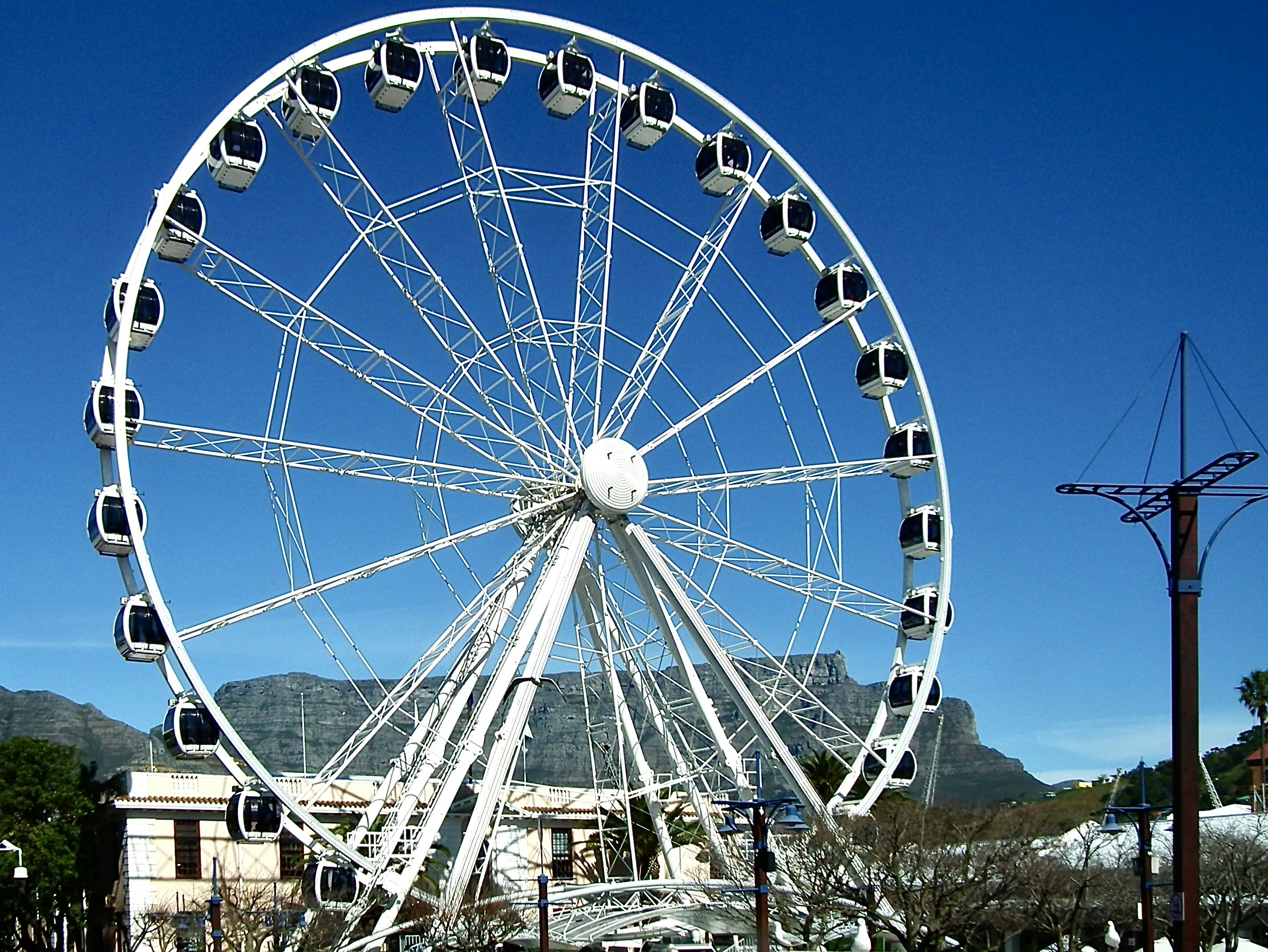 A large white ferris wheel against a blue sky.