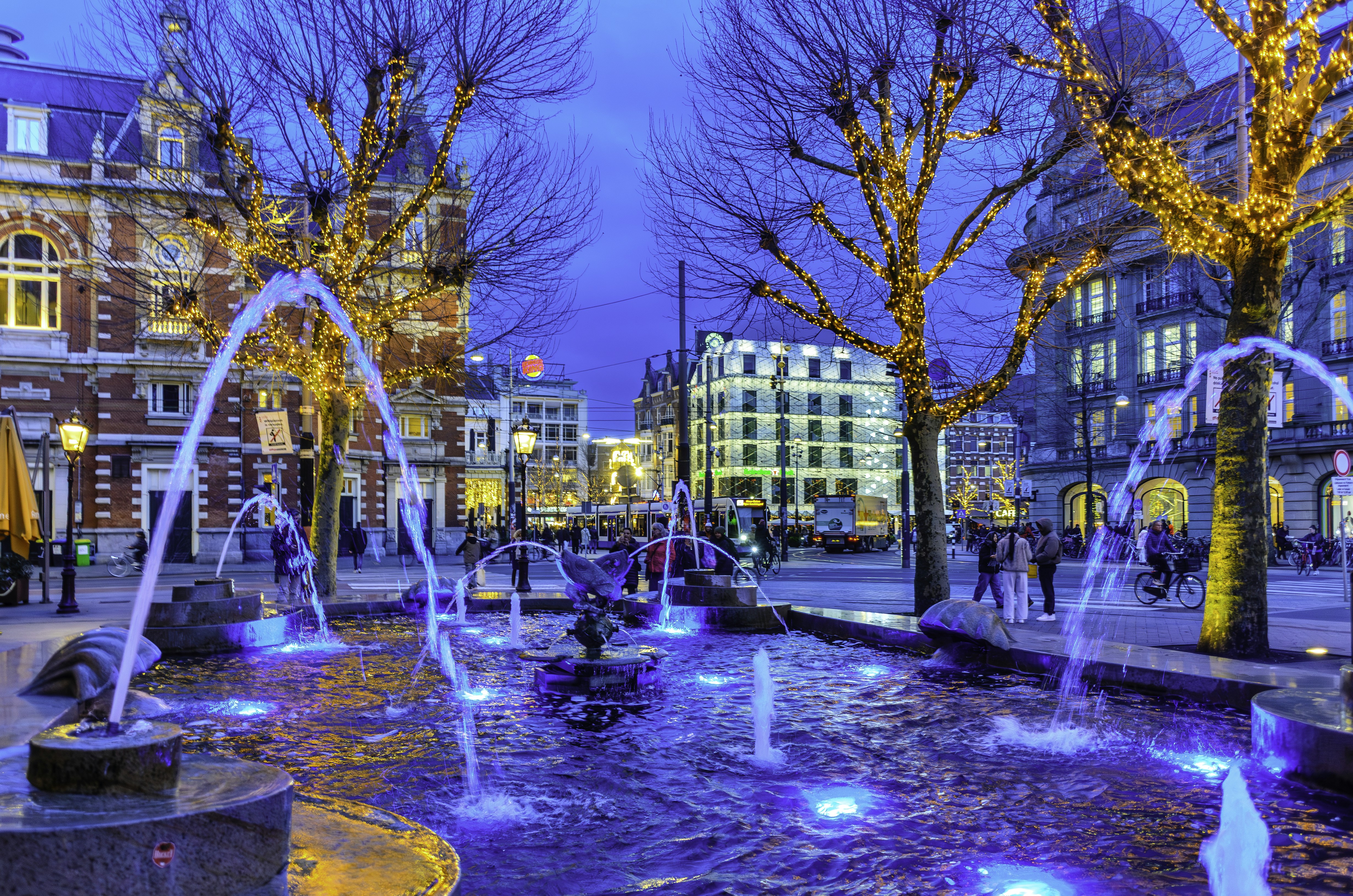 City square with illuminated fountains and trees at dusk