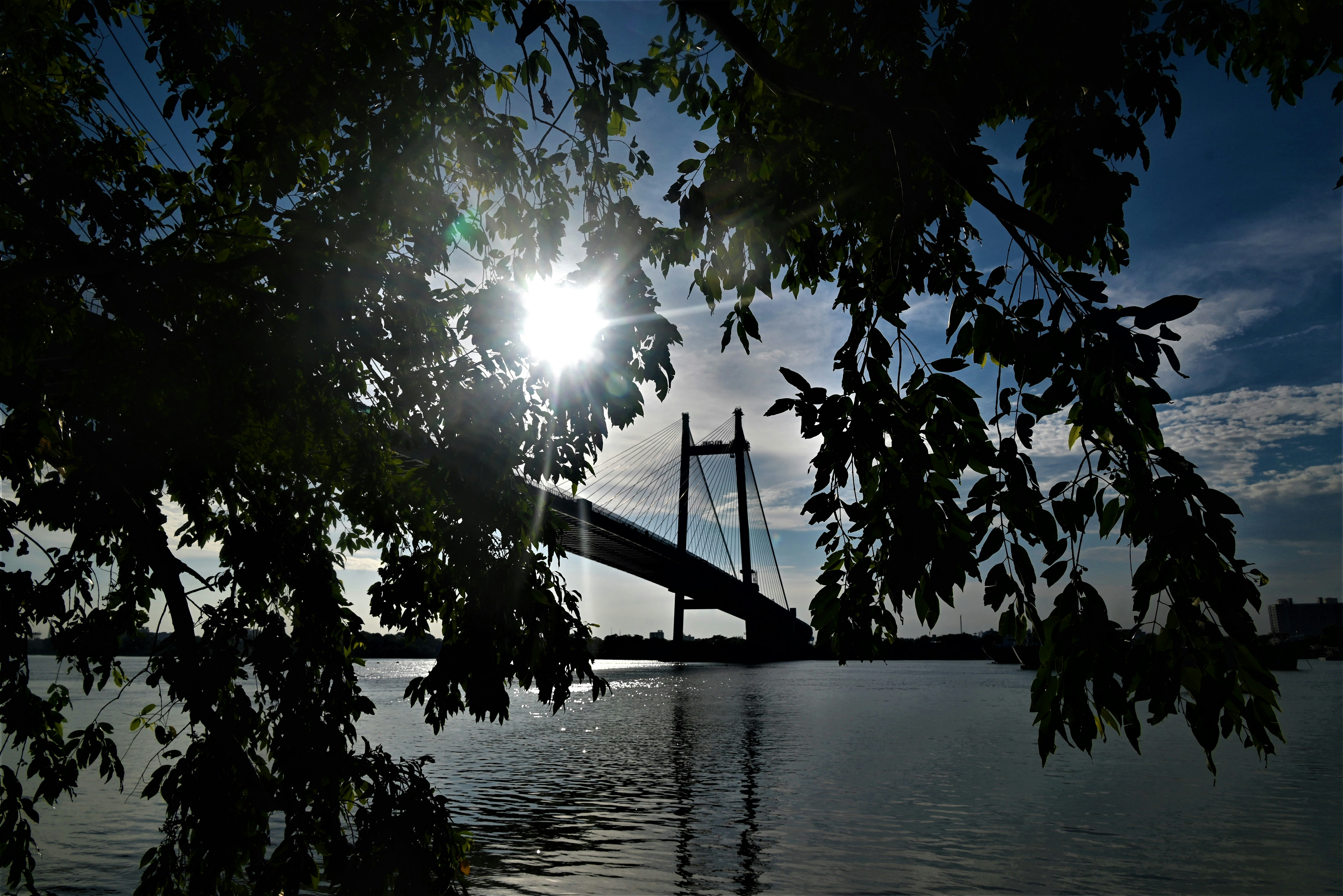 Sunlit Suspense Behind the Leaves: A River View with a Bridge Silhouette
