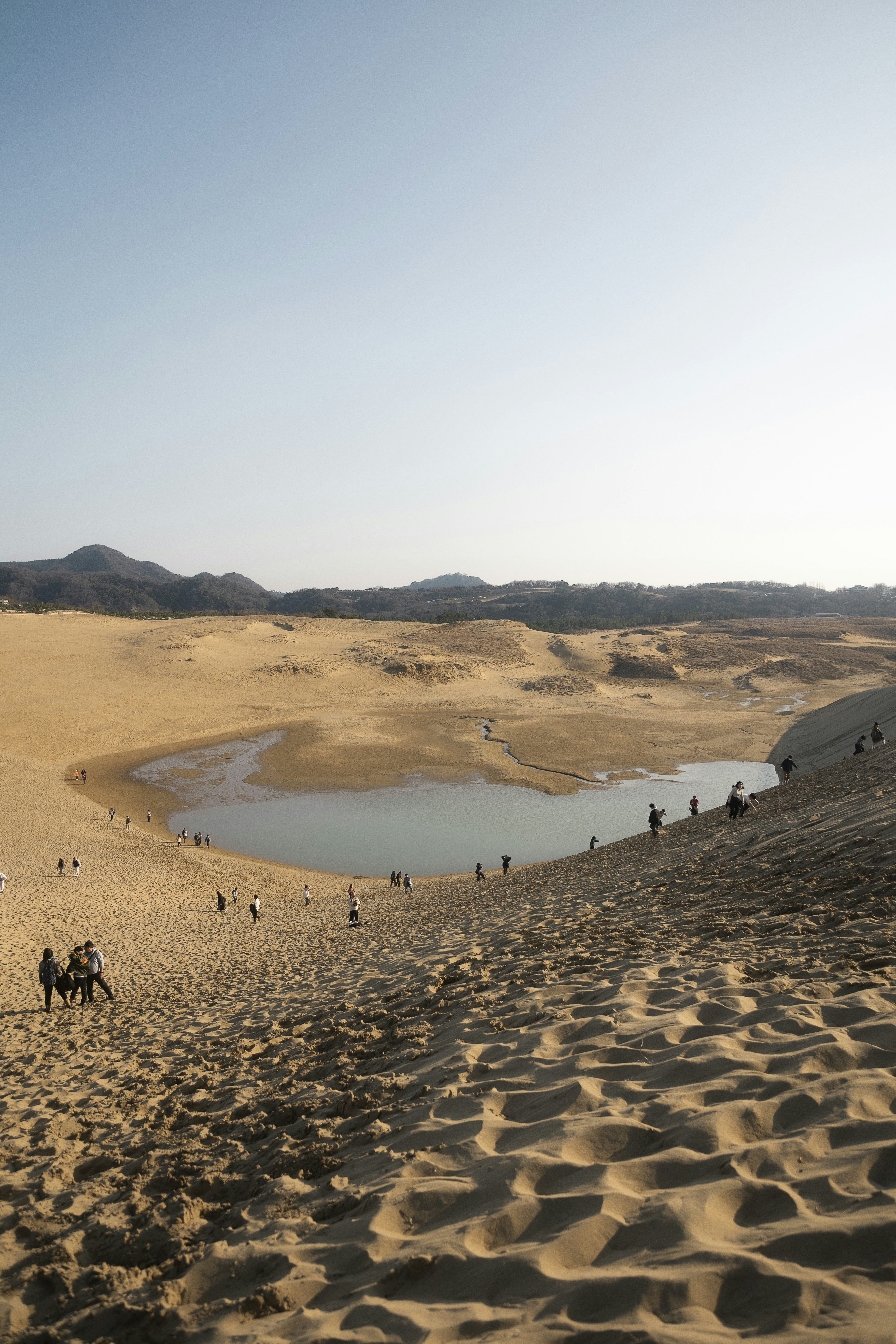Desert Dune Amphitheater: Track of People along the Oasis Rim