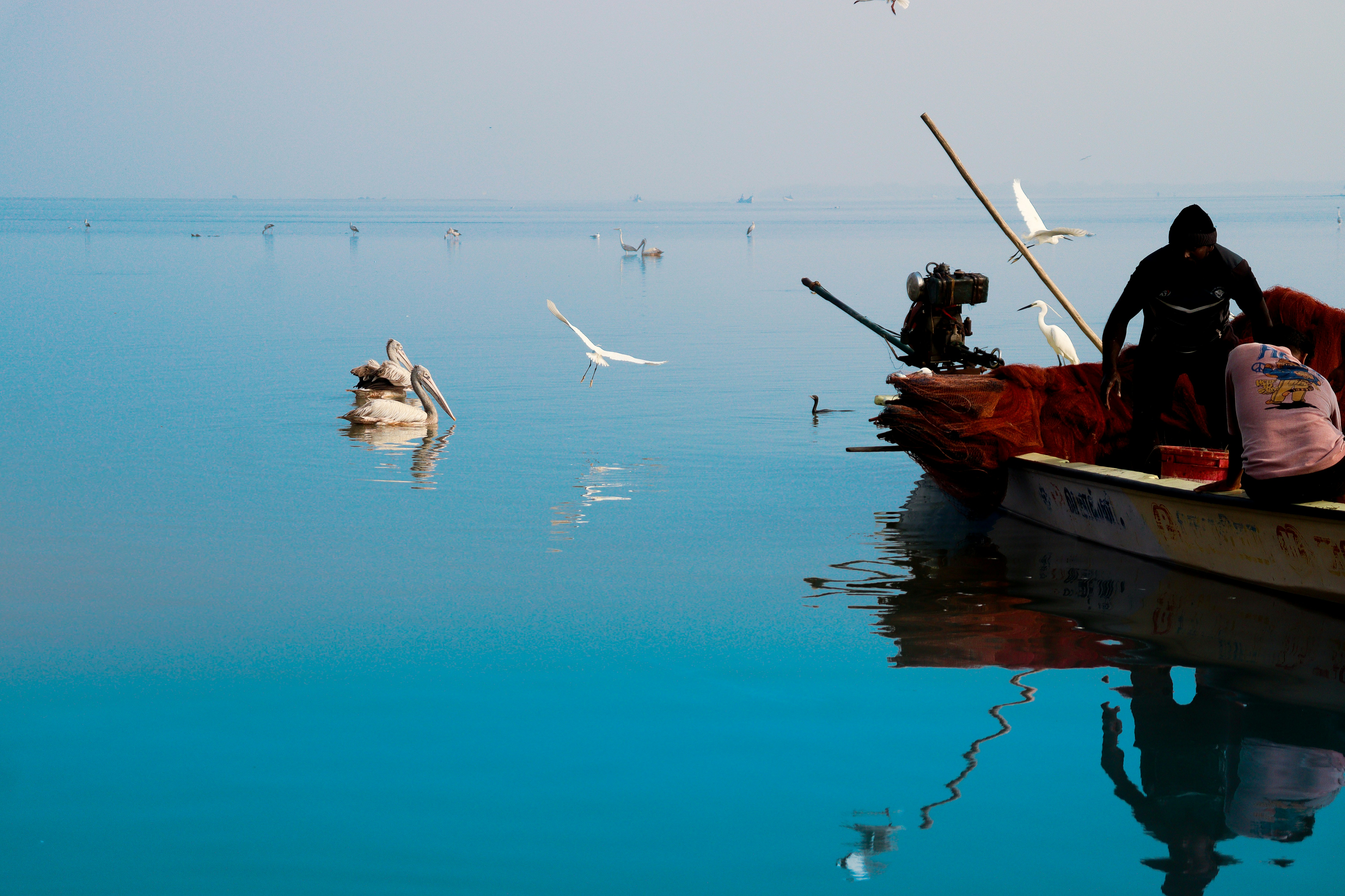 Blue Horizon, Red Boat: Seascape at Distant Shore