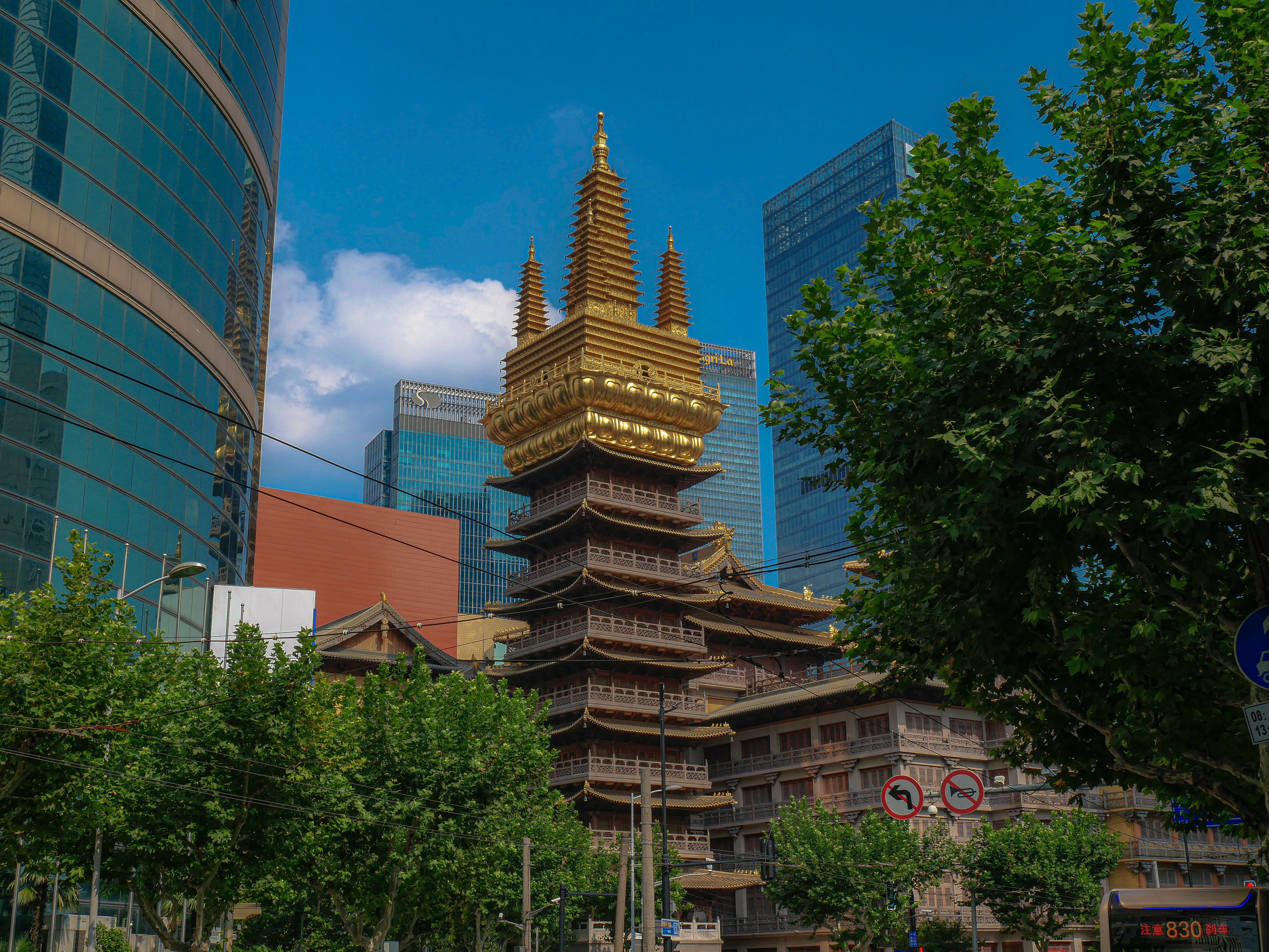 Pagoda amid Glass Towers: Contrast of Old and New