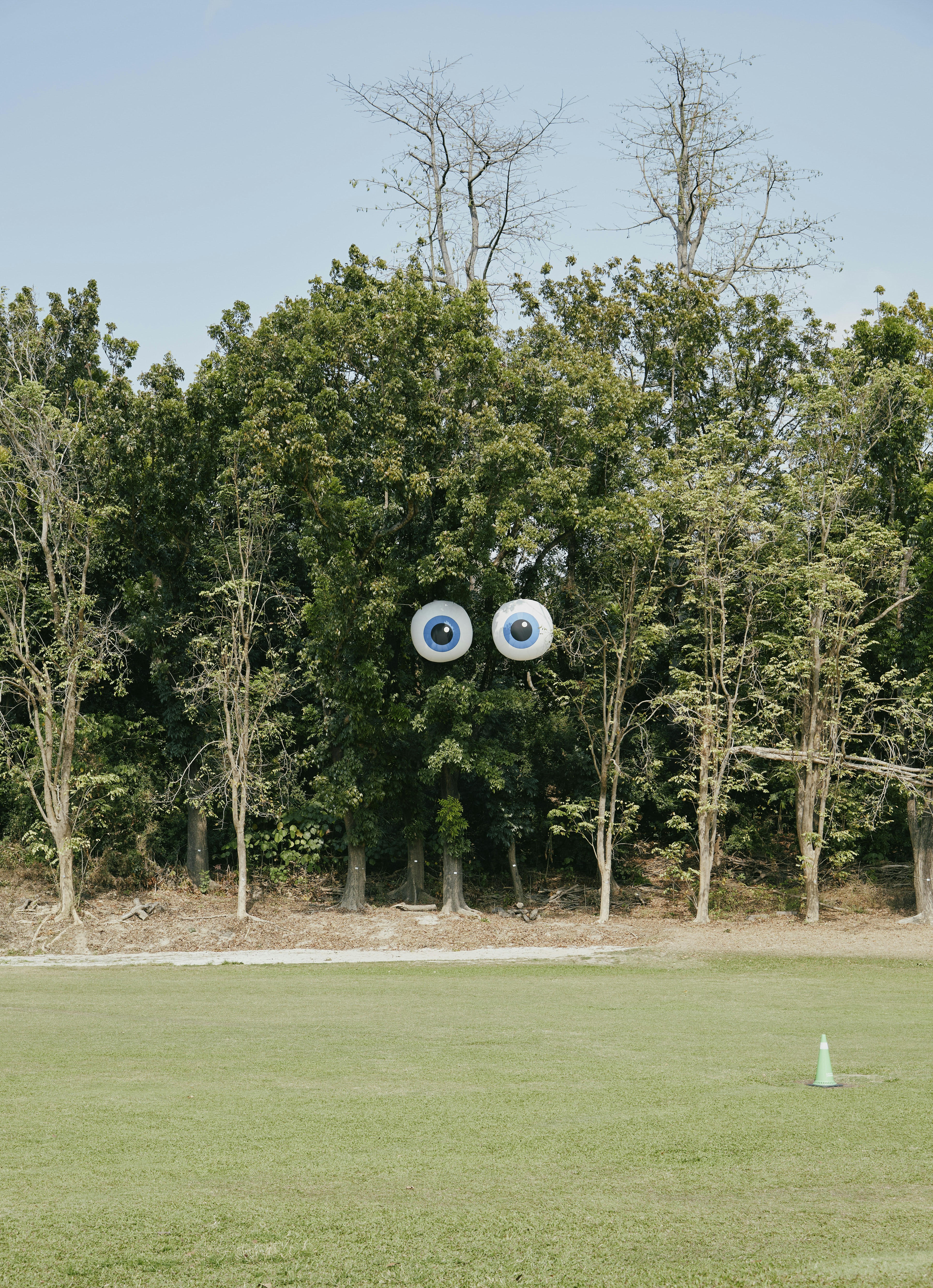 Hidden Gaze: Two Eyes Peering Through the Orchard