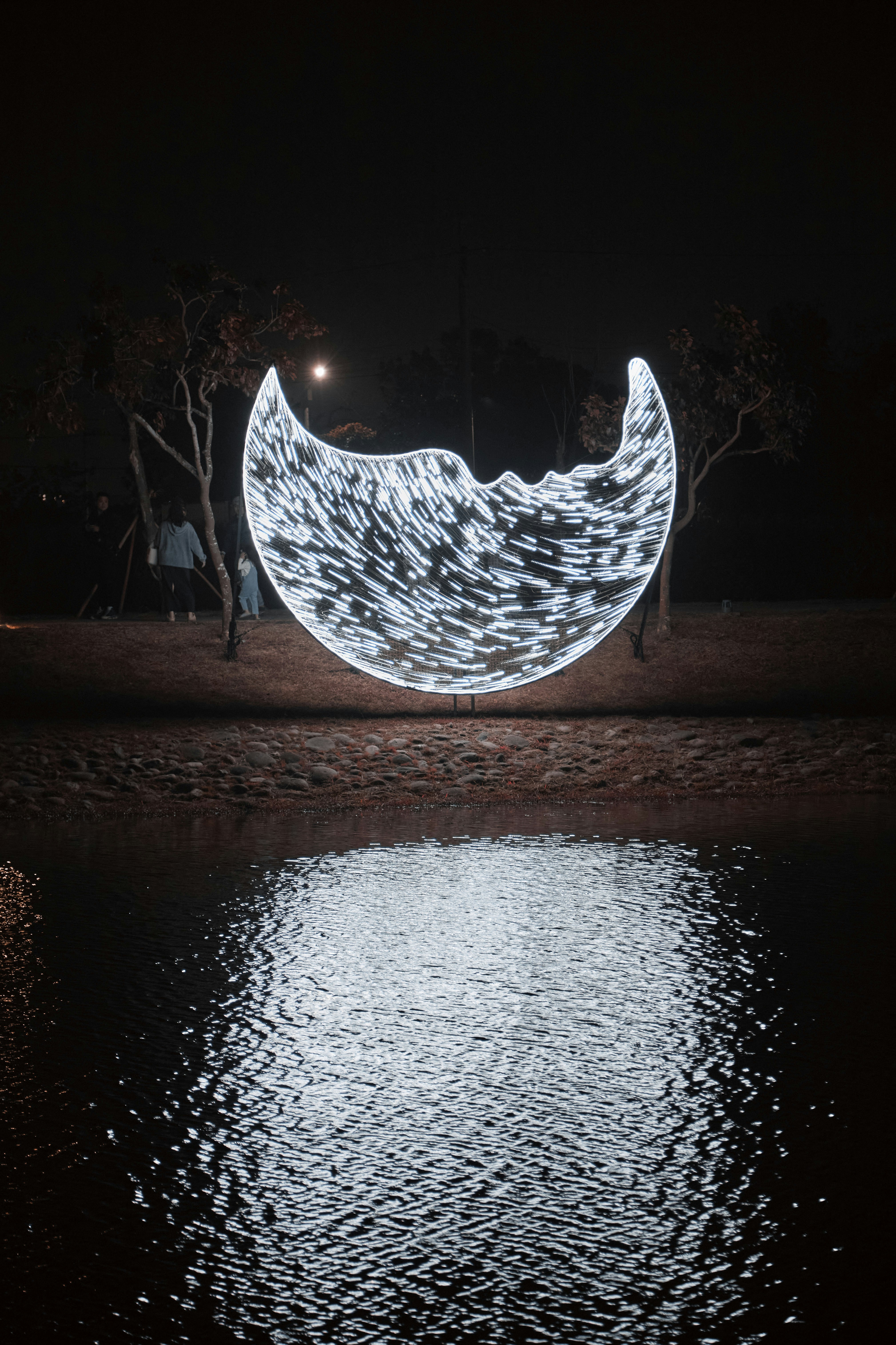 Moonlit Light Moonlet: A Crescent of Light Over Quiet Water