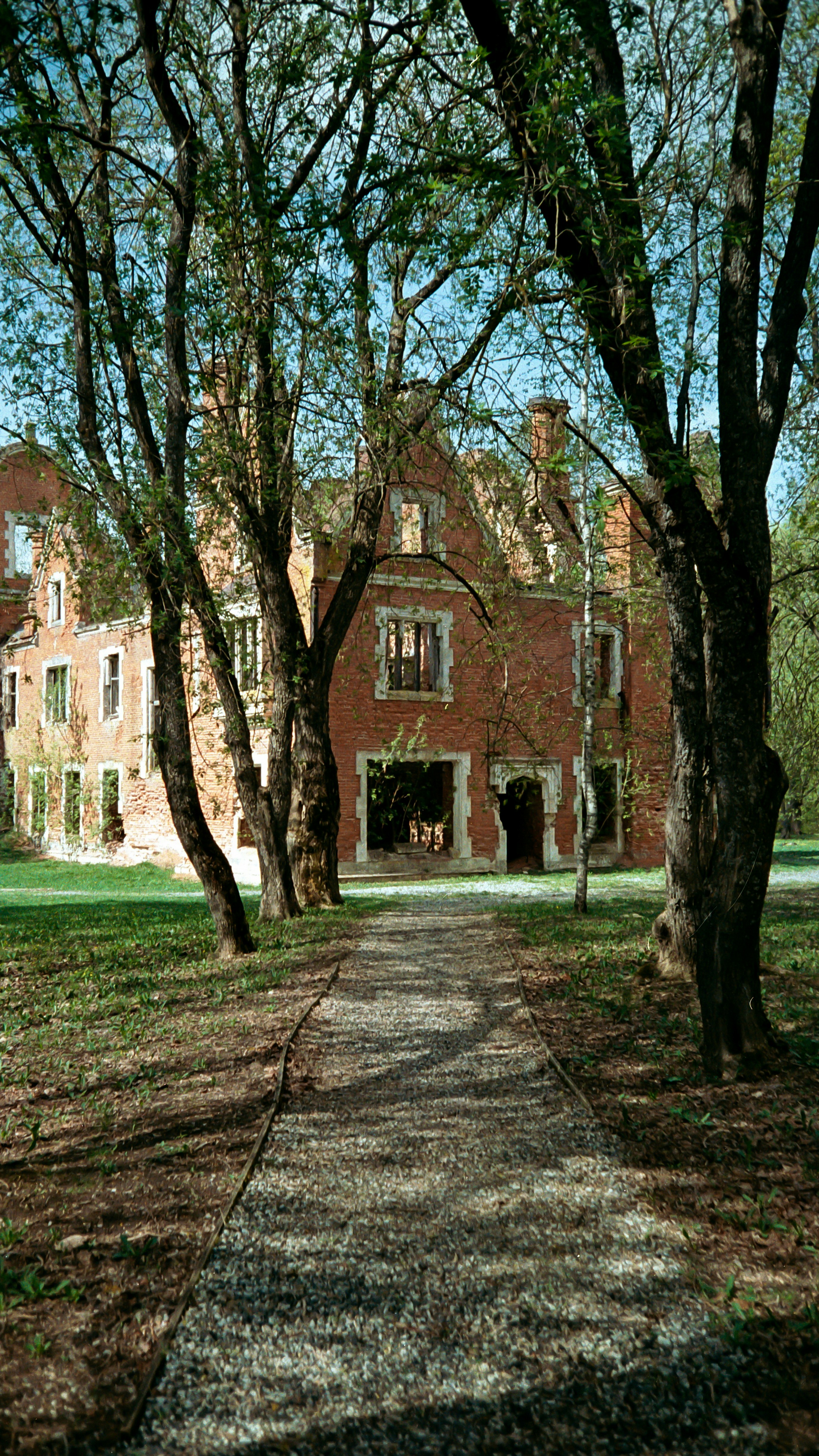 Brick Mansion Afloat in a Canopy of Green