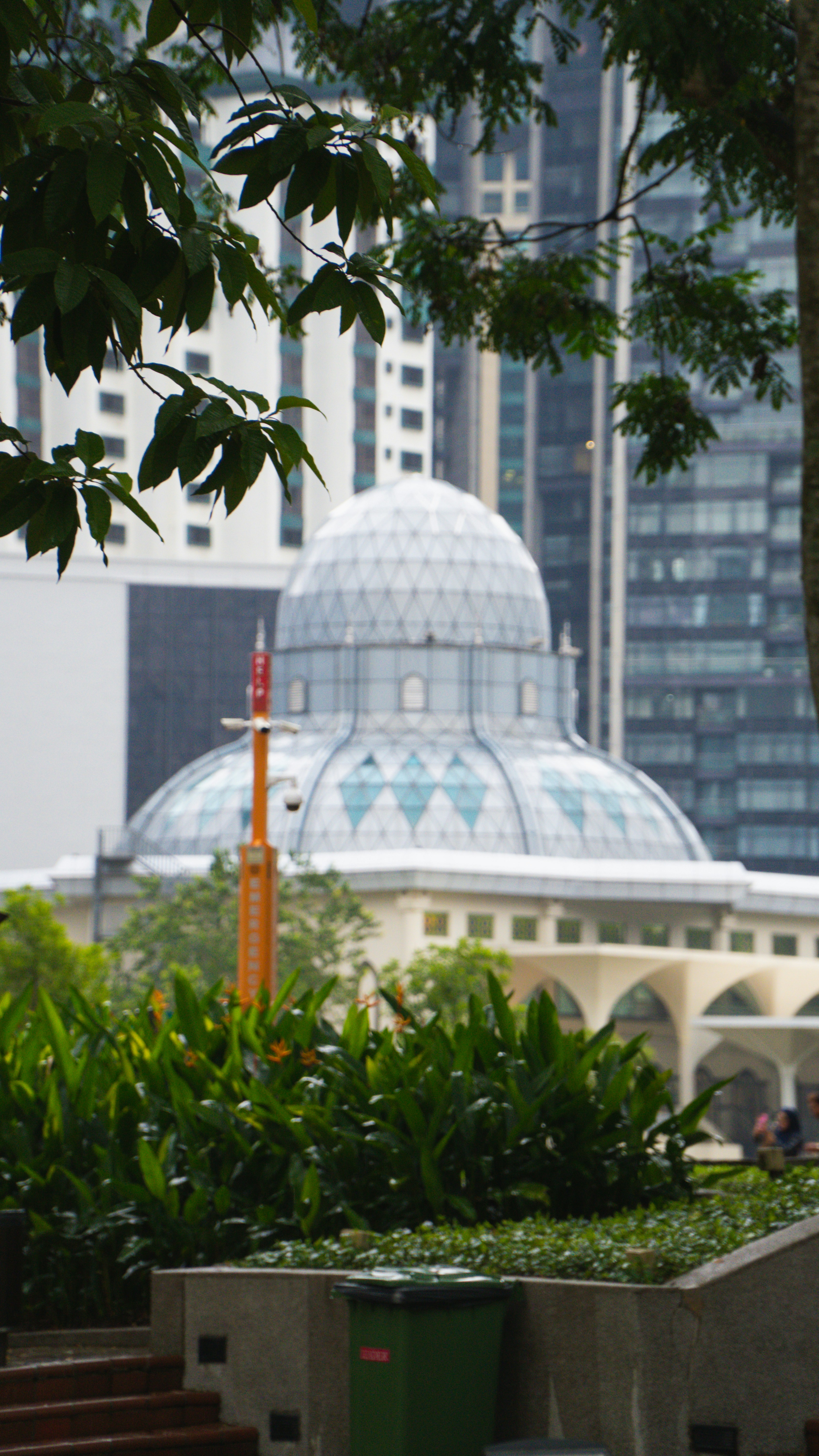 City Dome Framed by Foliage