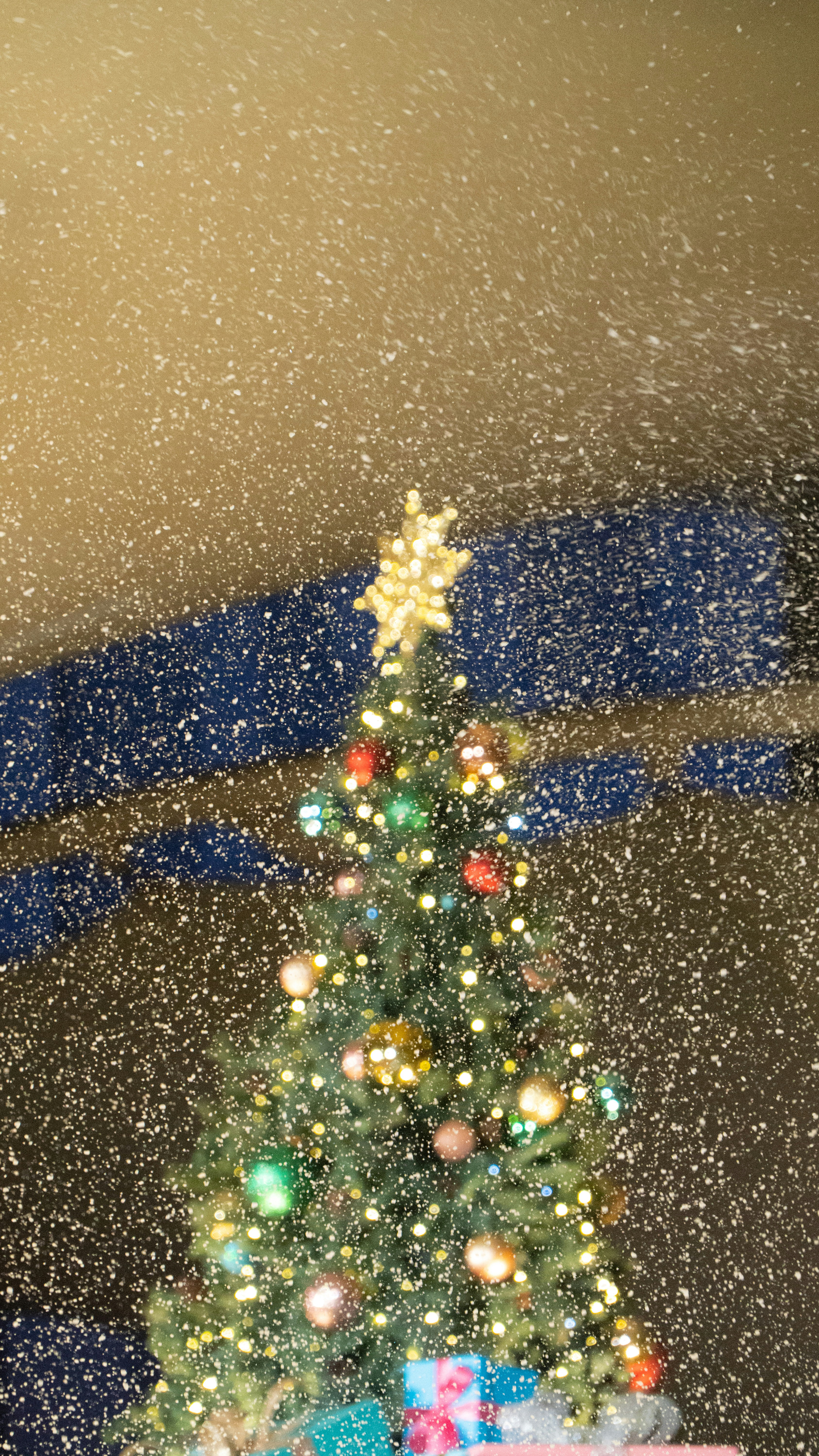 Twinkling Tree in Snow: A Festive Moment Through Falling Sparkles