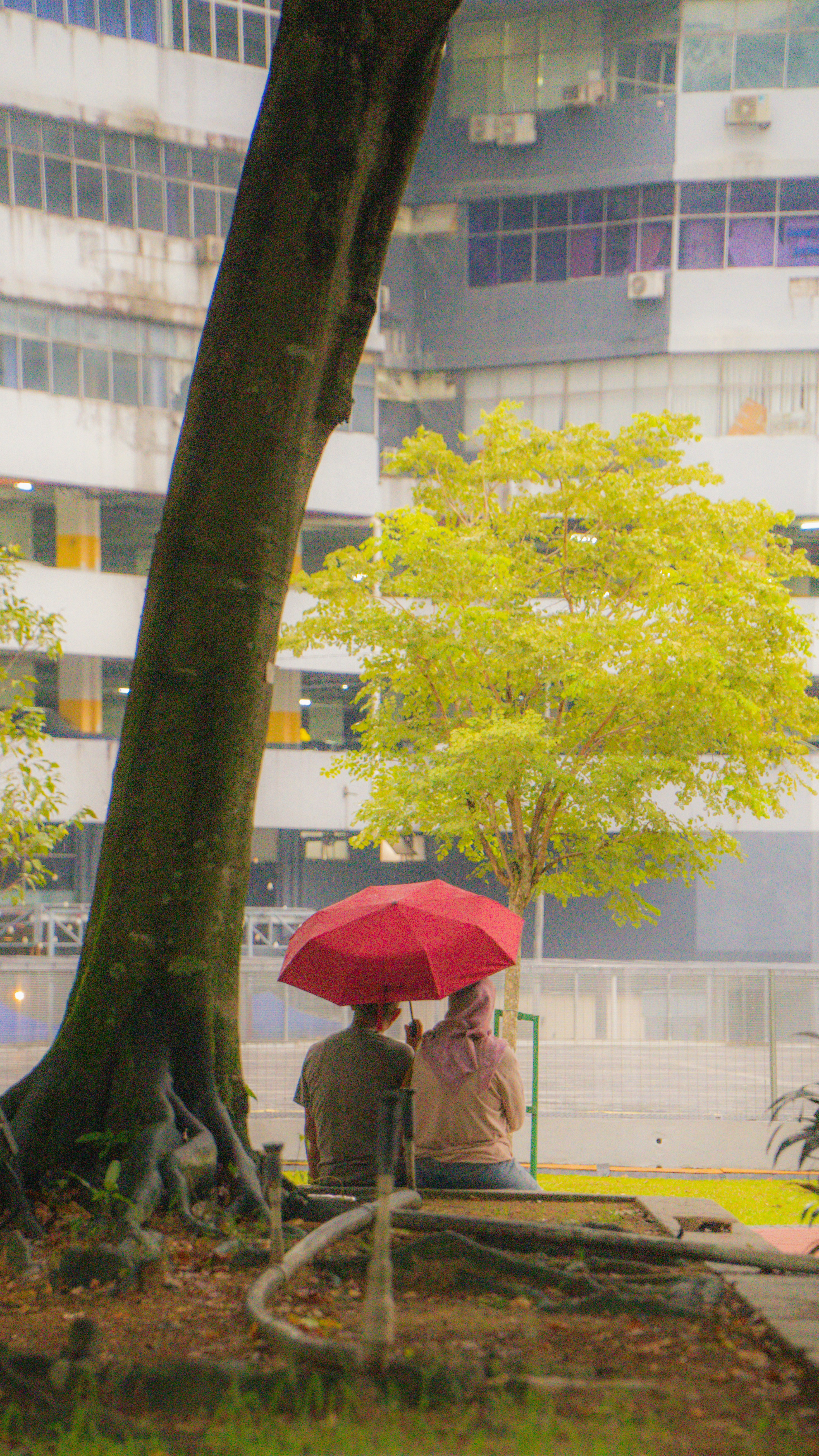 Red Umbrella Pause Under Neon Trees