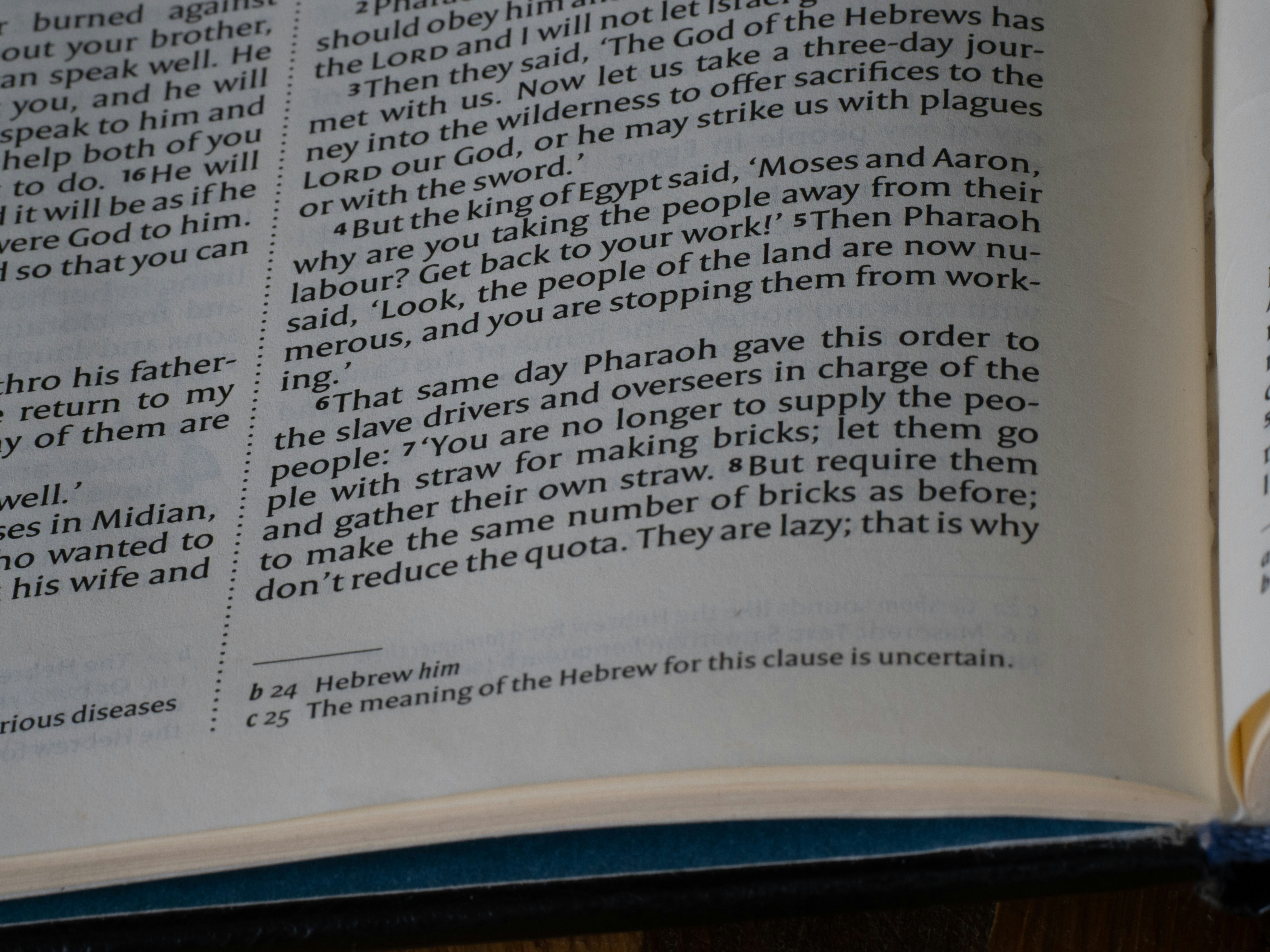 A Quiet Moment Between Lines: Close-Up of Scripture in Focus