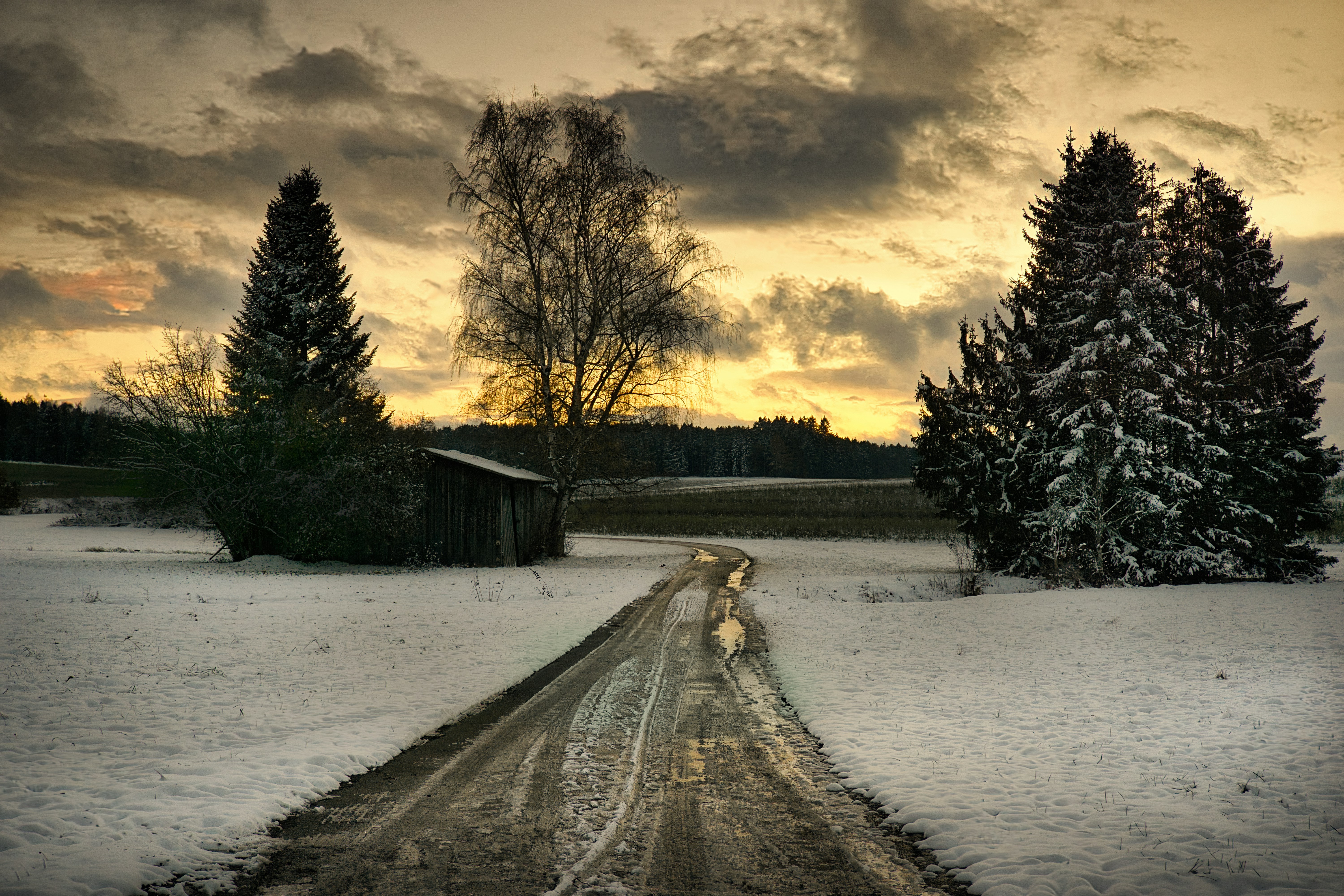 Winter Road to Distant Horizon