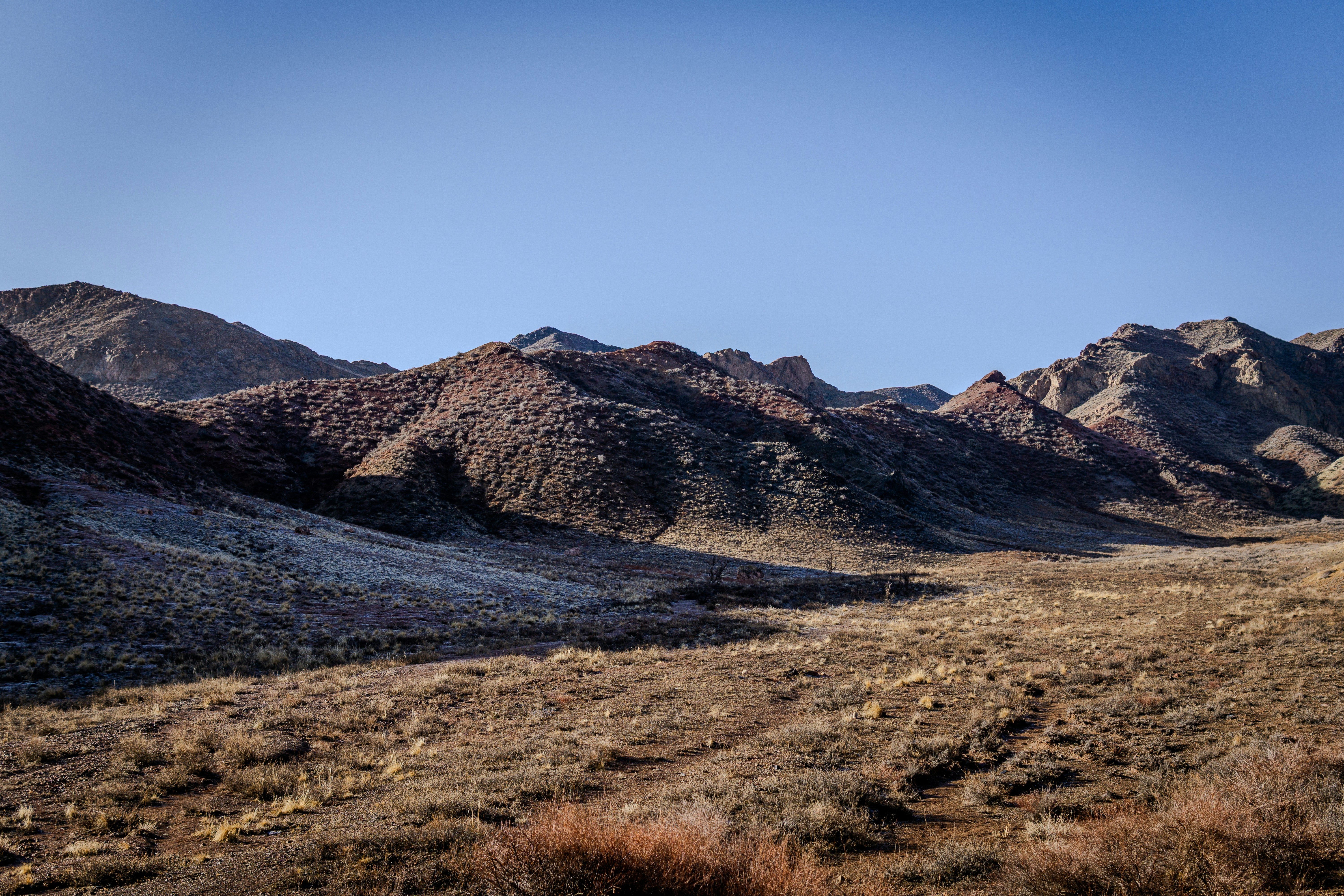 Sunlit Ridge: A Quiet Desert Horizon