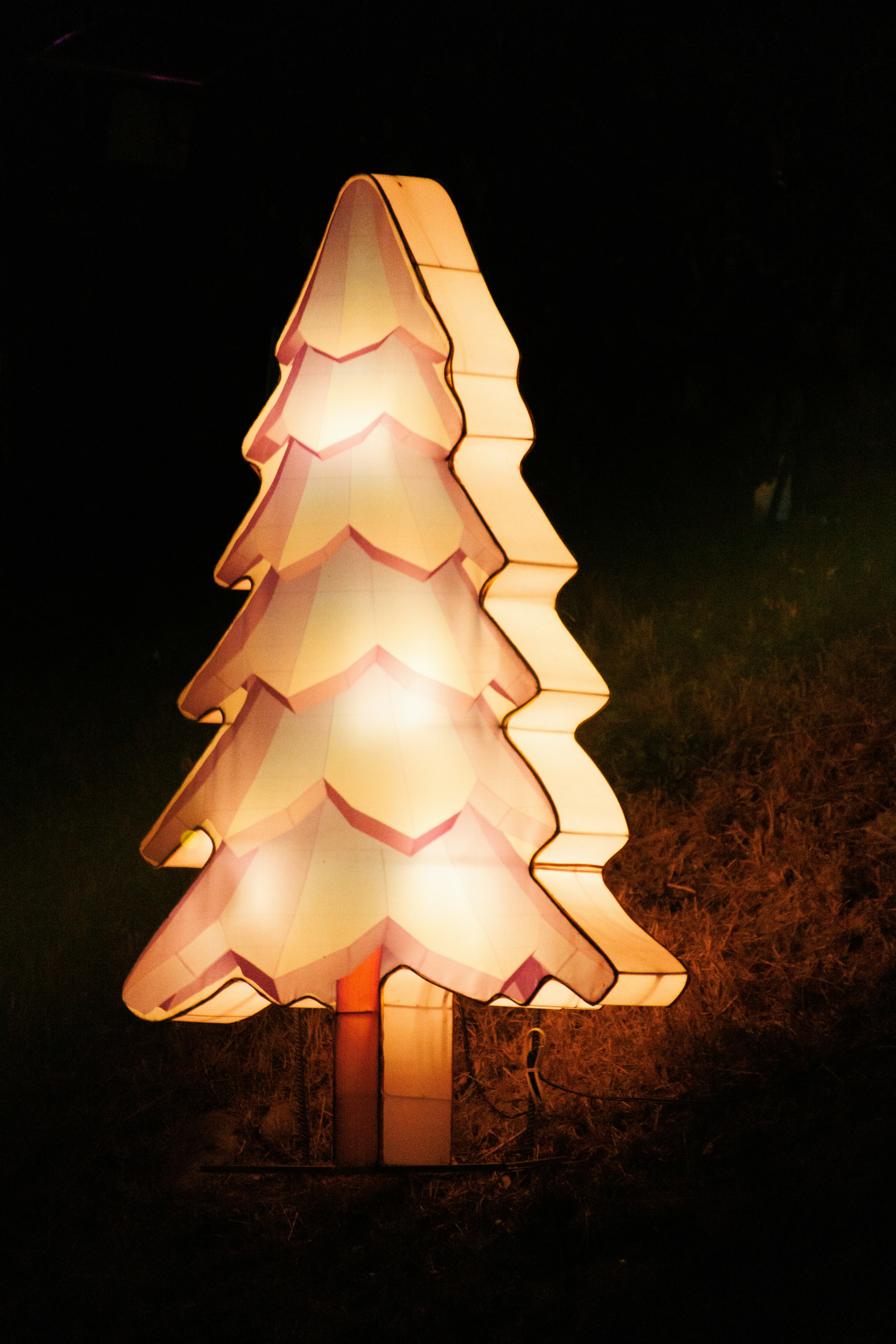 Lanterned Evergreen: An Illuminated Christmas Tree Standing Solo