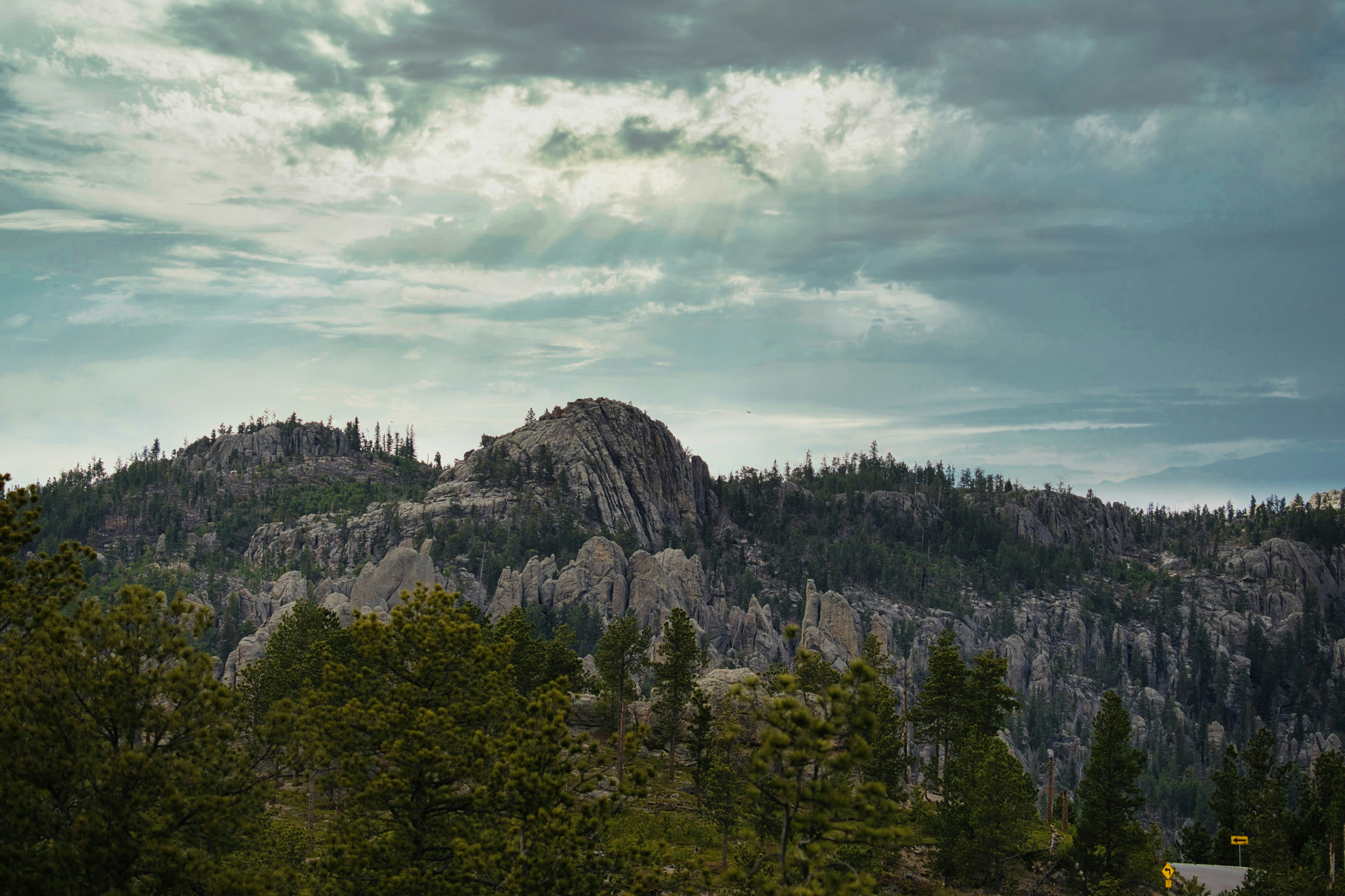 Granite Carve: A Peak Rising from Pine Forest