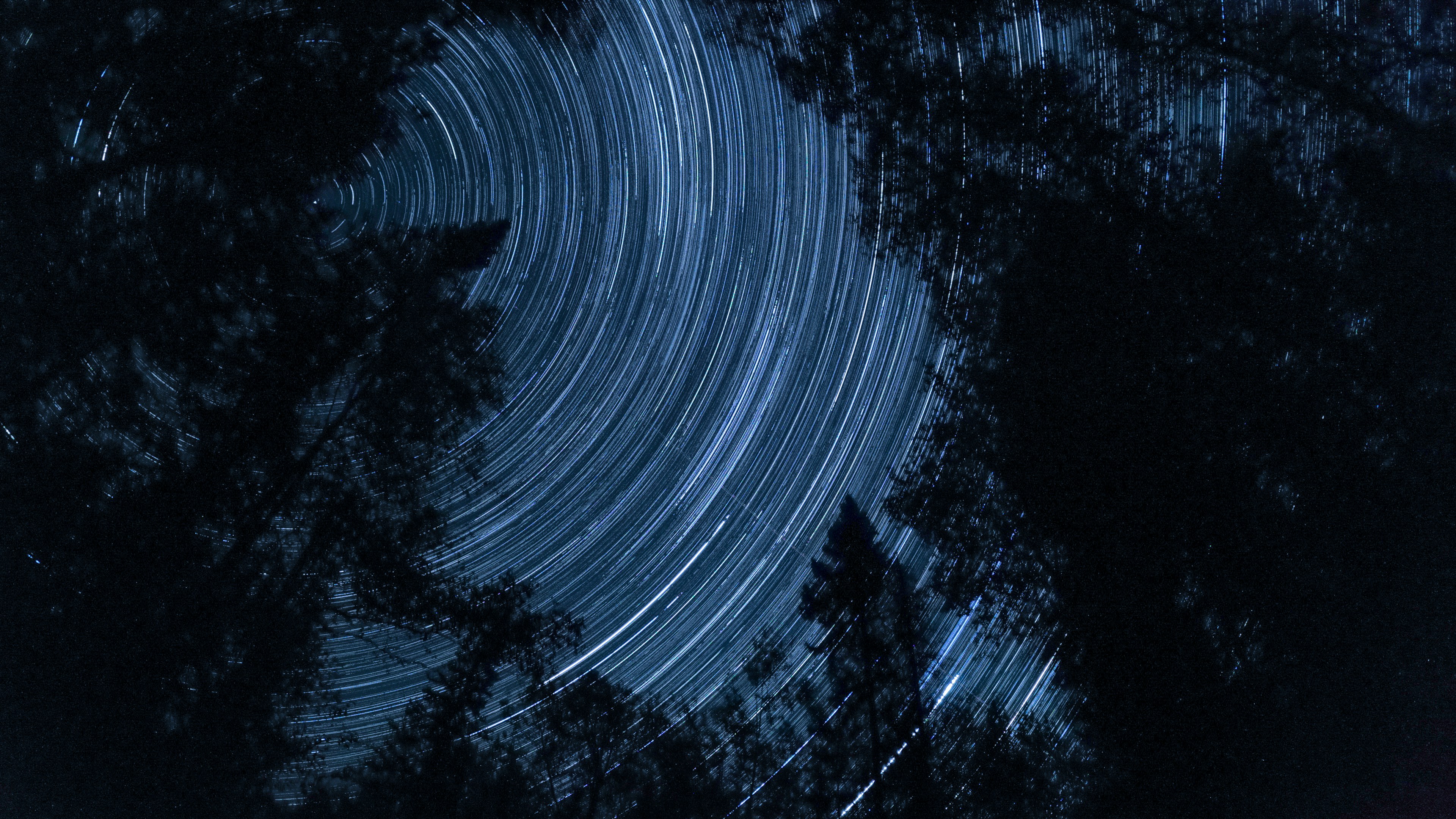 Star Trails Over Silent Pines