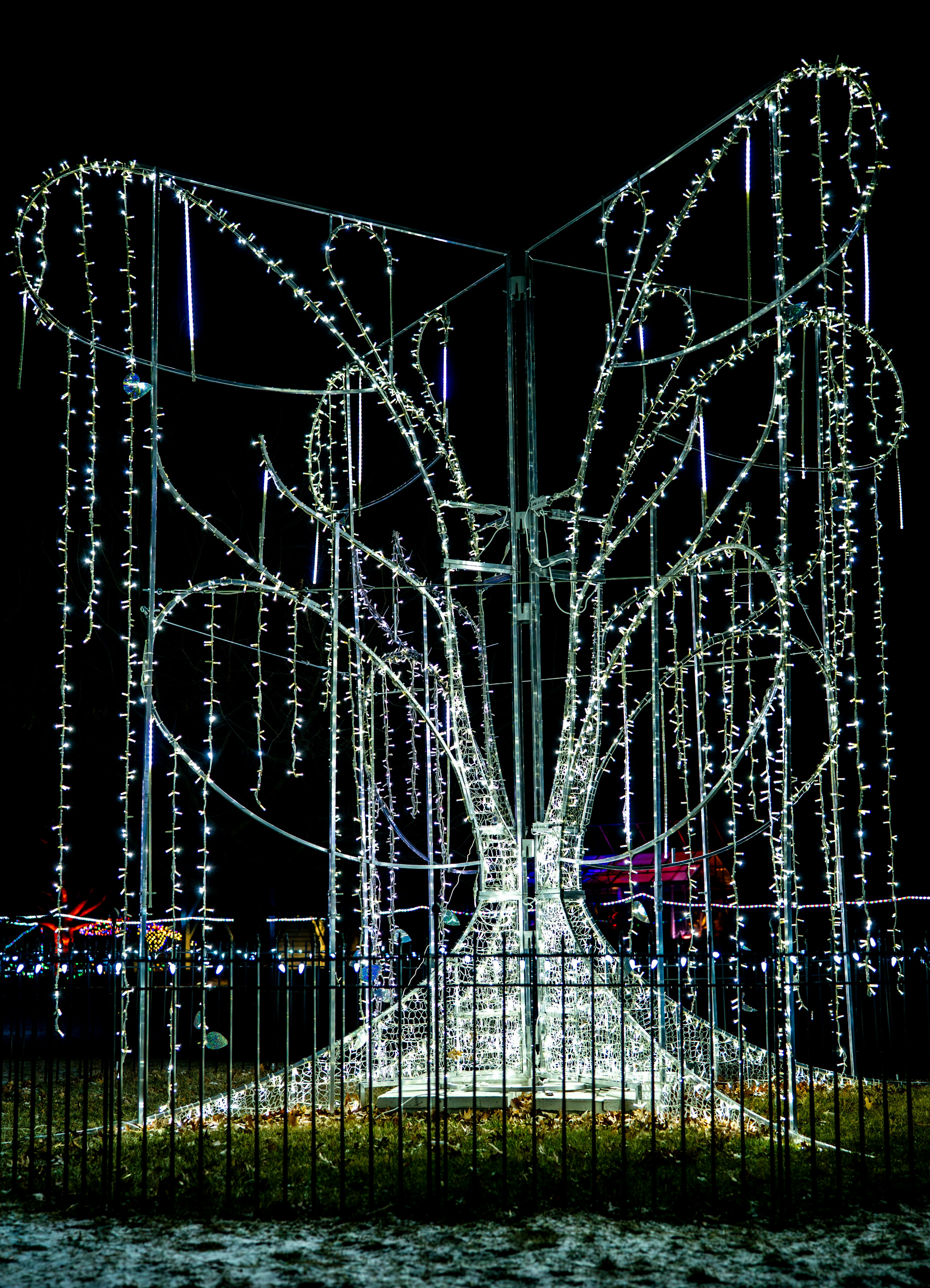 Illuminated Tree Sculpture: Night Garden of Lights Enclosed in Metal Whimsy